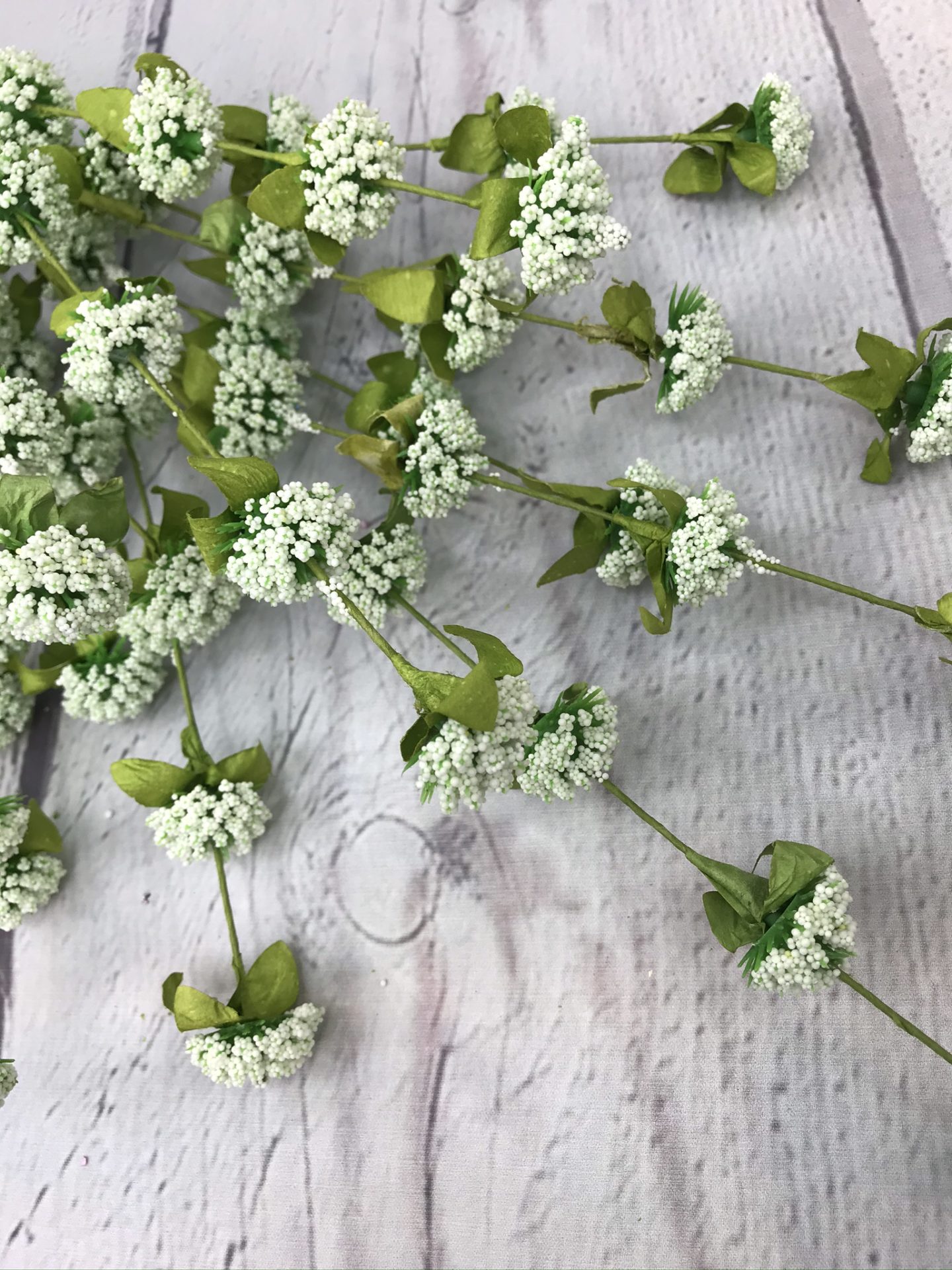 White Mini Allium Bush - Kelea's Florals