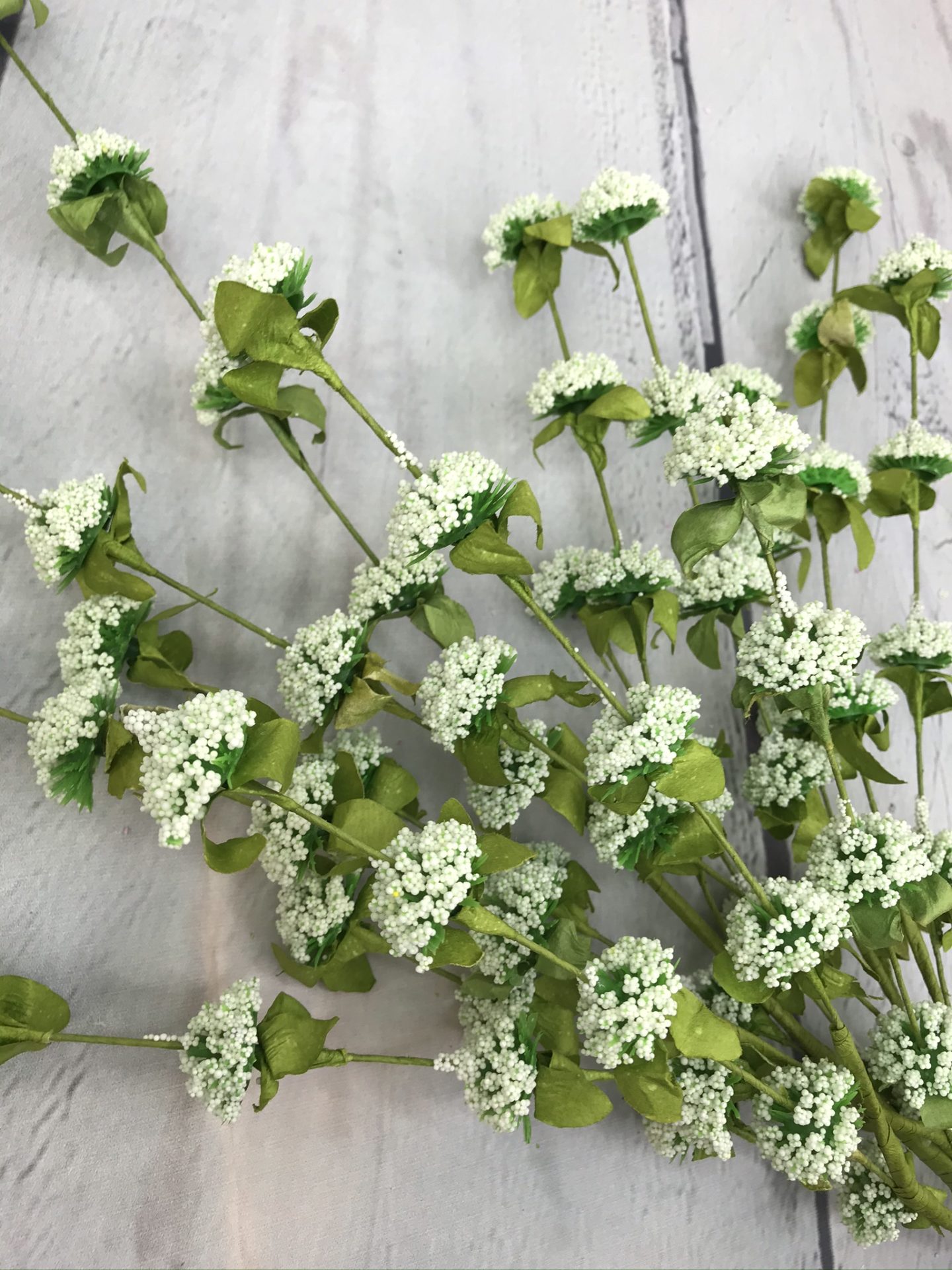 White Mini Allium Bush - Kelea's Florals