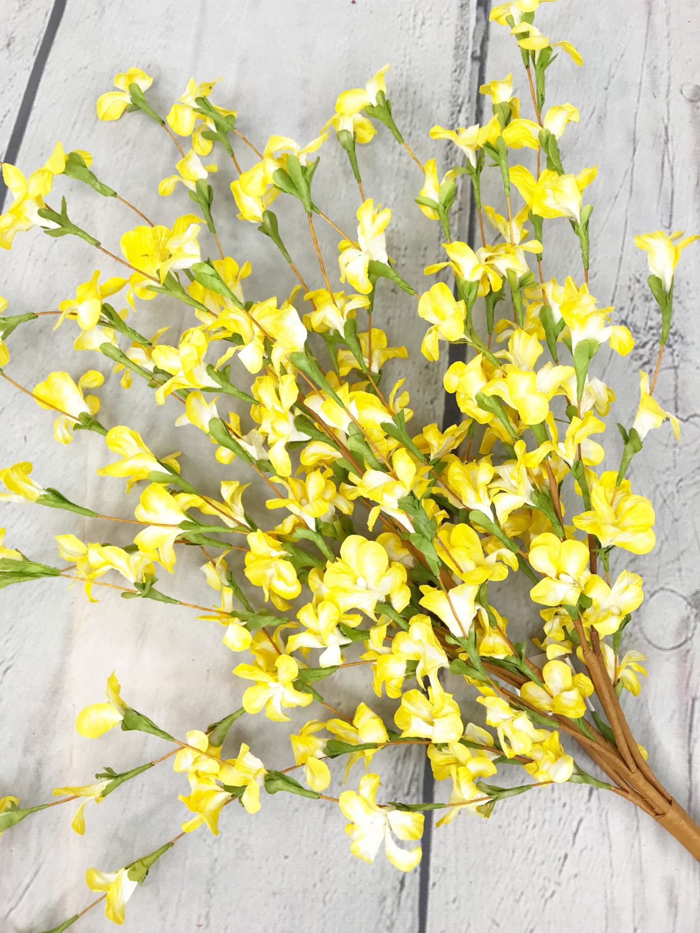 Yellow Wax Flower Bush - Kelea's Florals