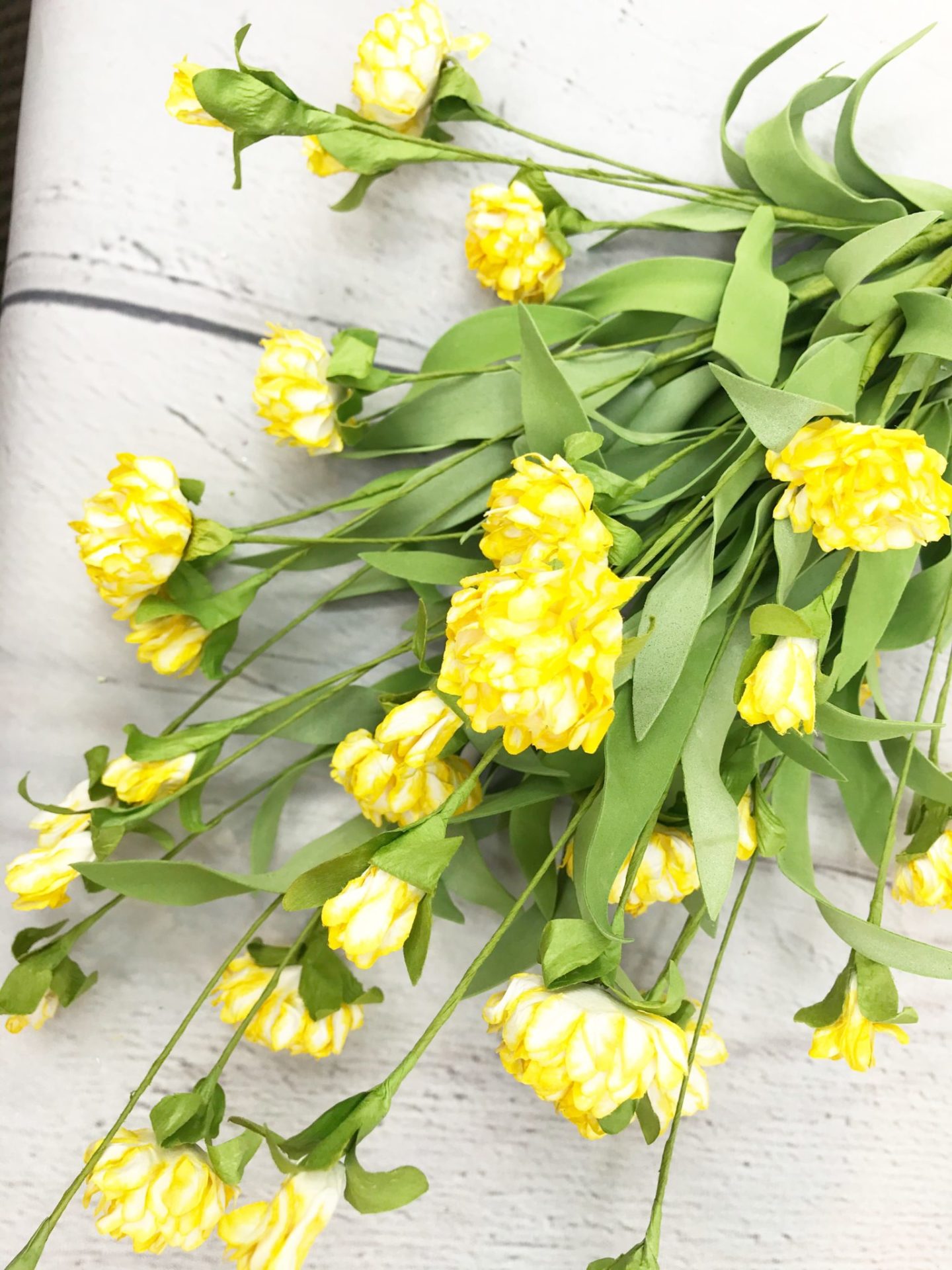 Yellow Cornflower Bush - Kelea's Florals