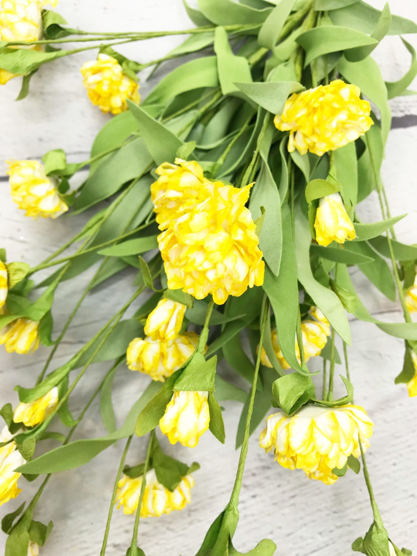 Yellow Cornflower Bush - Kelea's Florals