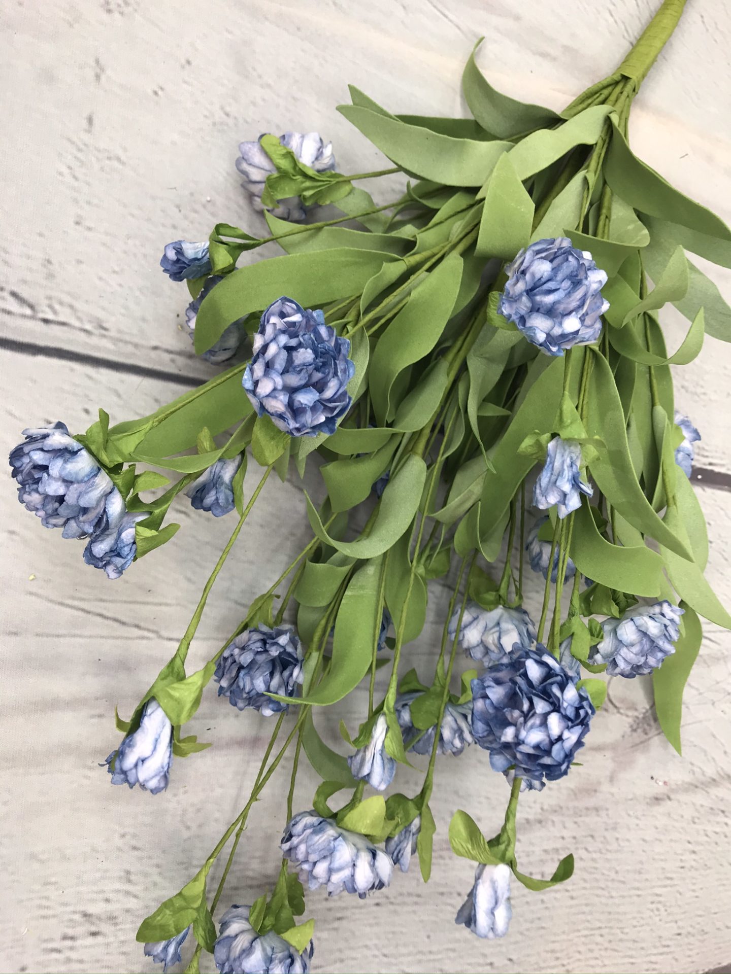 Blue Cornflower Bush - Kelea's Florals