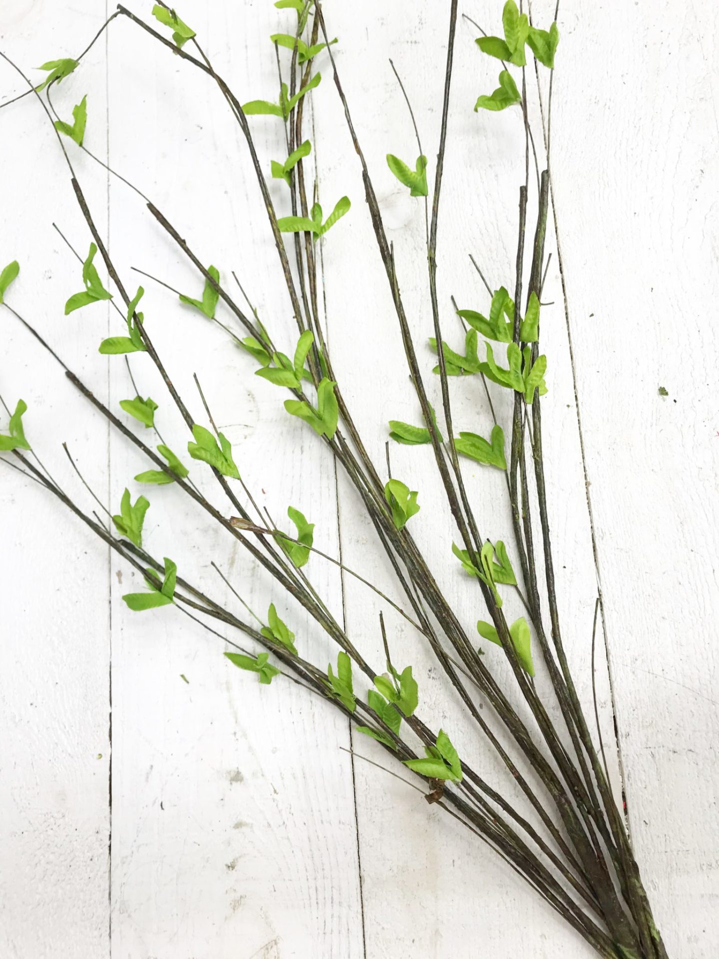 Large Green Twigs - Kelea's Florals