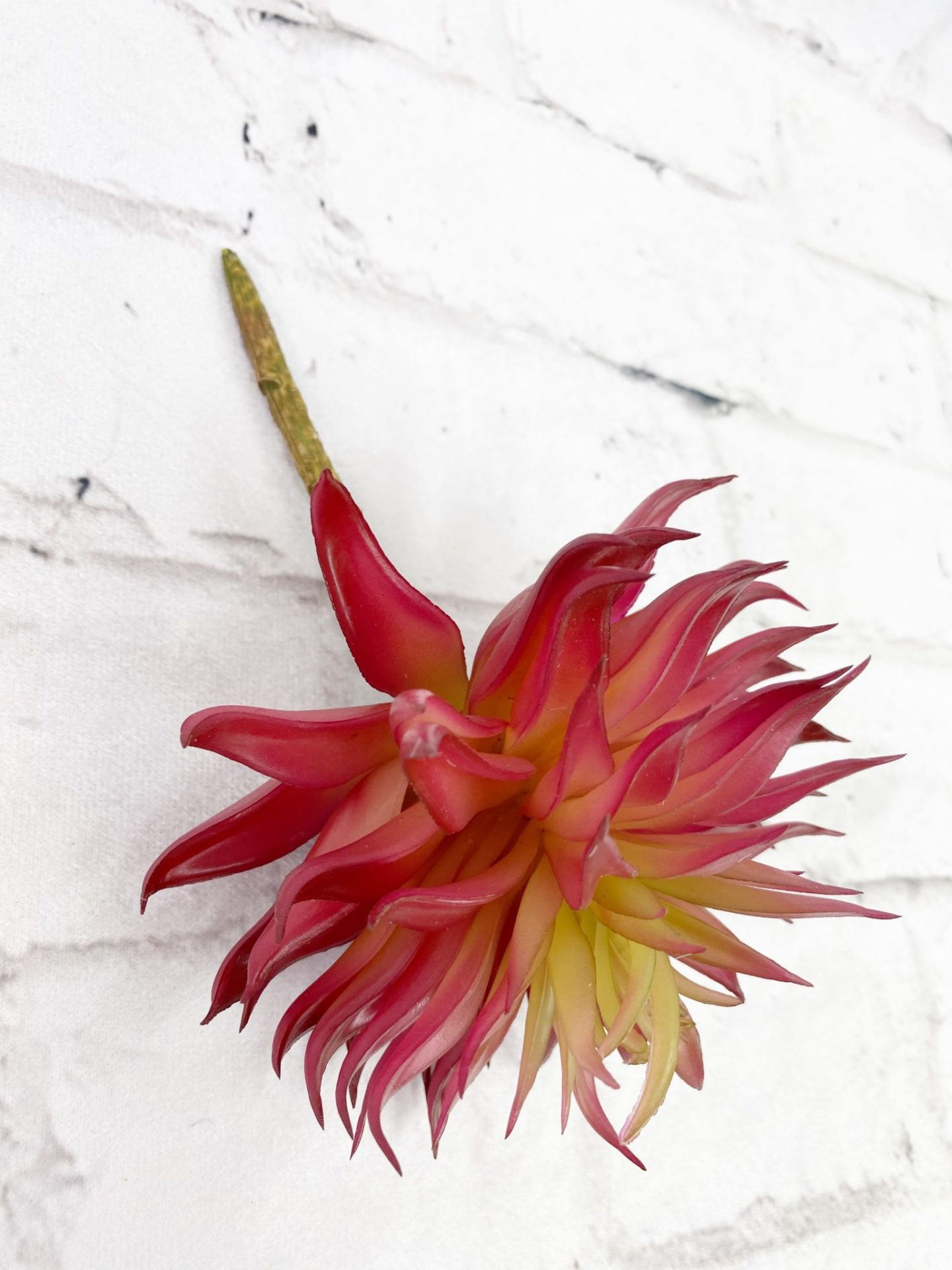 Artificial Red Crassula Falcata Succulent - Kelea's Florals