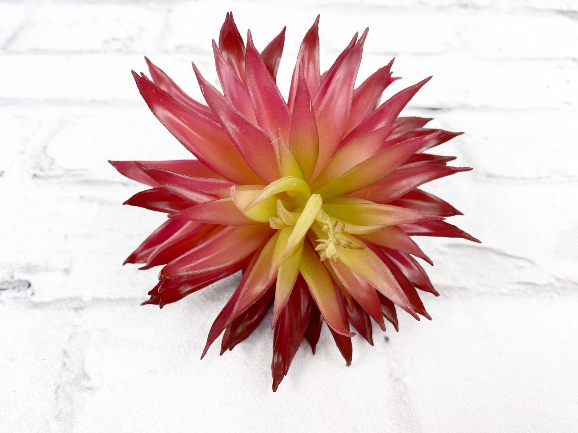 Artificial Red Crassula Falcata Succulent - Kelea's Florals