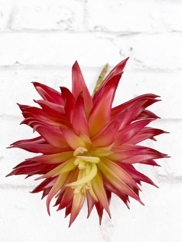 Artificial Red Crassula Falcata Succulent - Kelea's Florals