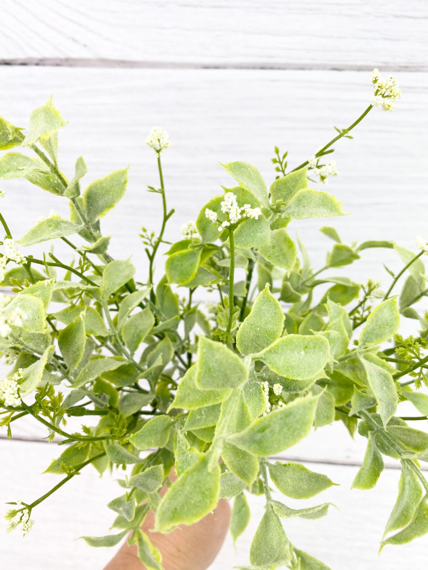 Cream Mini Berry and Small Leaf Bush - Kelea's Florals