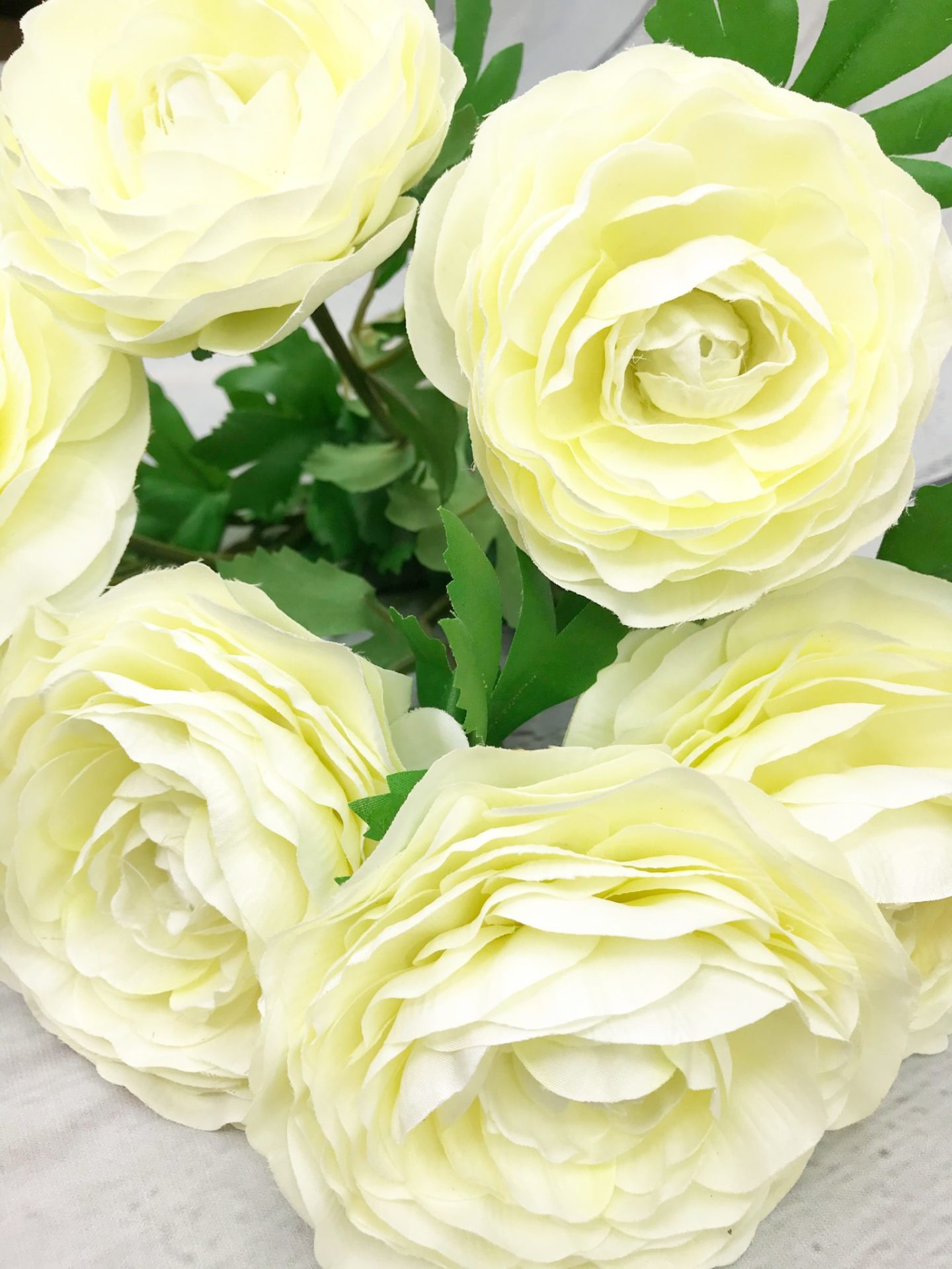 Large Cream Ranunculus Bush - Kelea's Florals