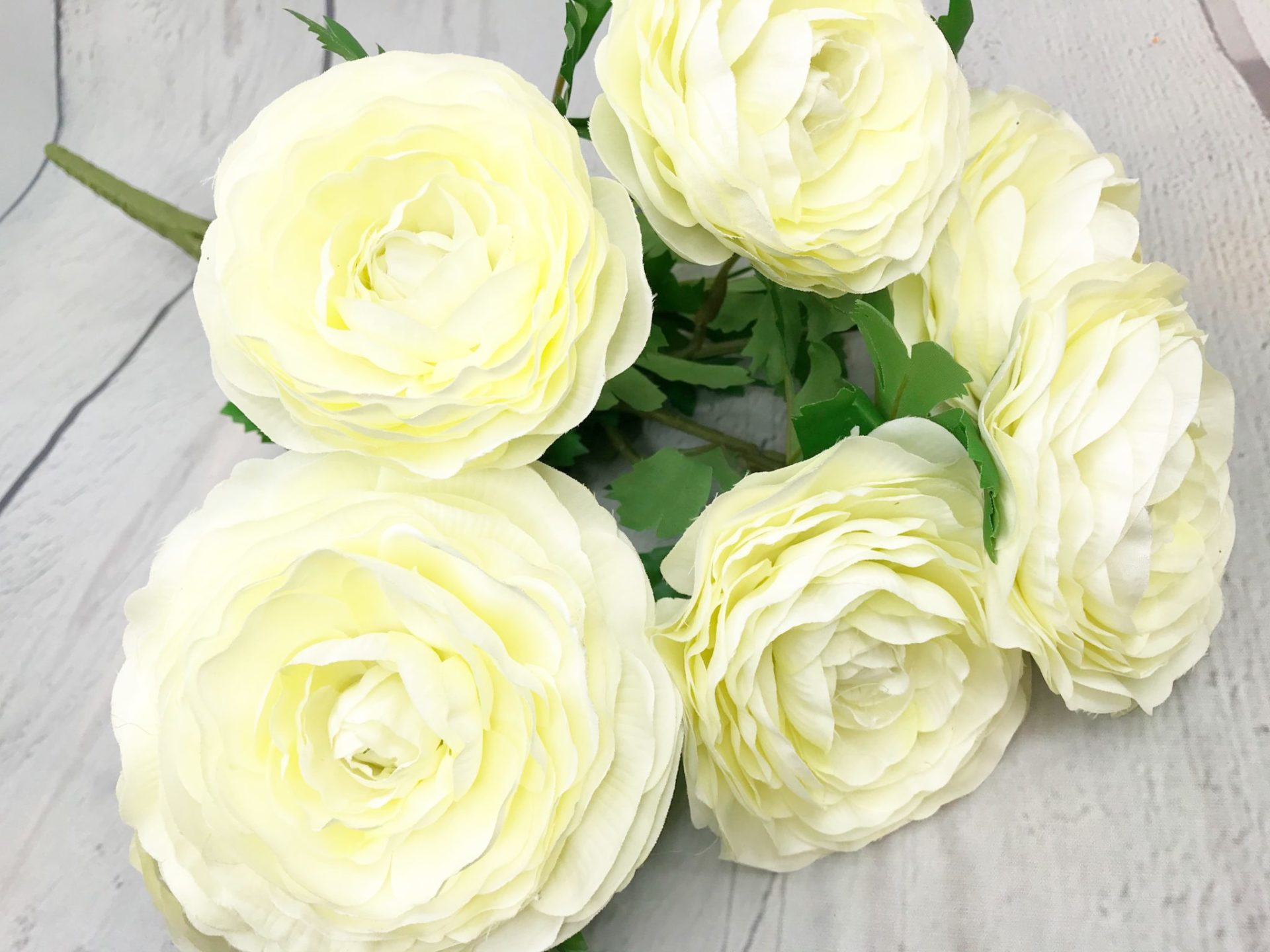 Large Cream Ranunculus Bush - Kelea's Florals