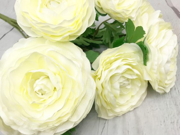 Large Cream Ranunculus Bush - Kelea's Florals
