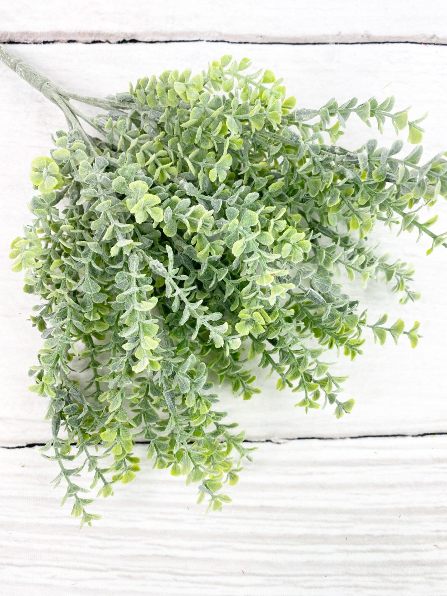 Frosted small leaf greenery Bush - Kelea's Florals