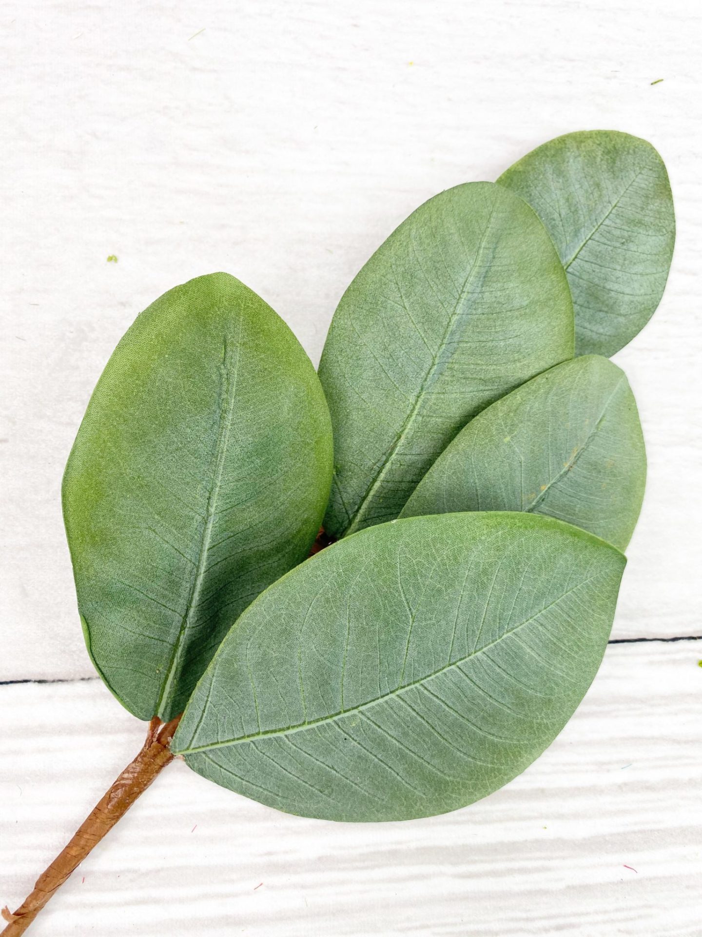 Hanover Magnolia Pick - Kelea's Florals