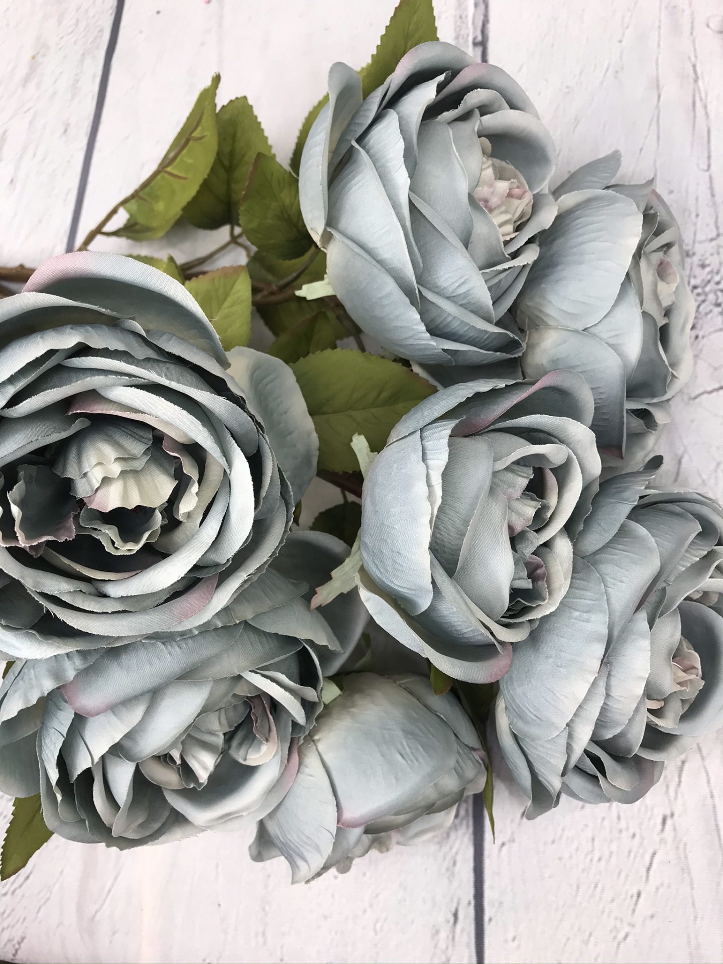 Blue Rosa Bush - Kelea's Florals