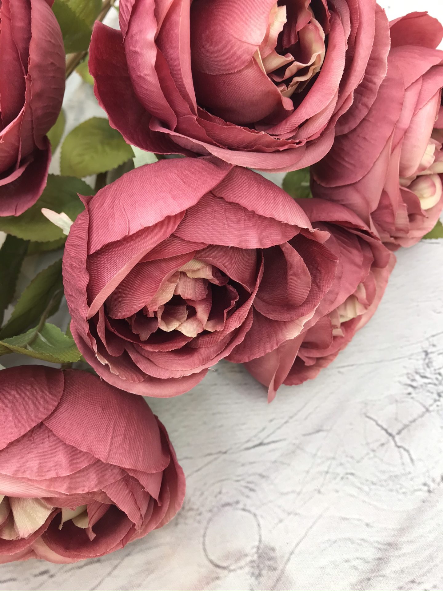 Burgundy Rosa Bush - Kelea's Florals