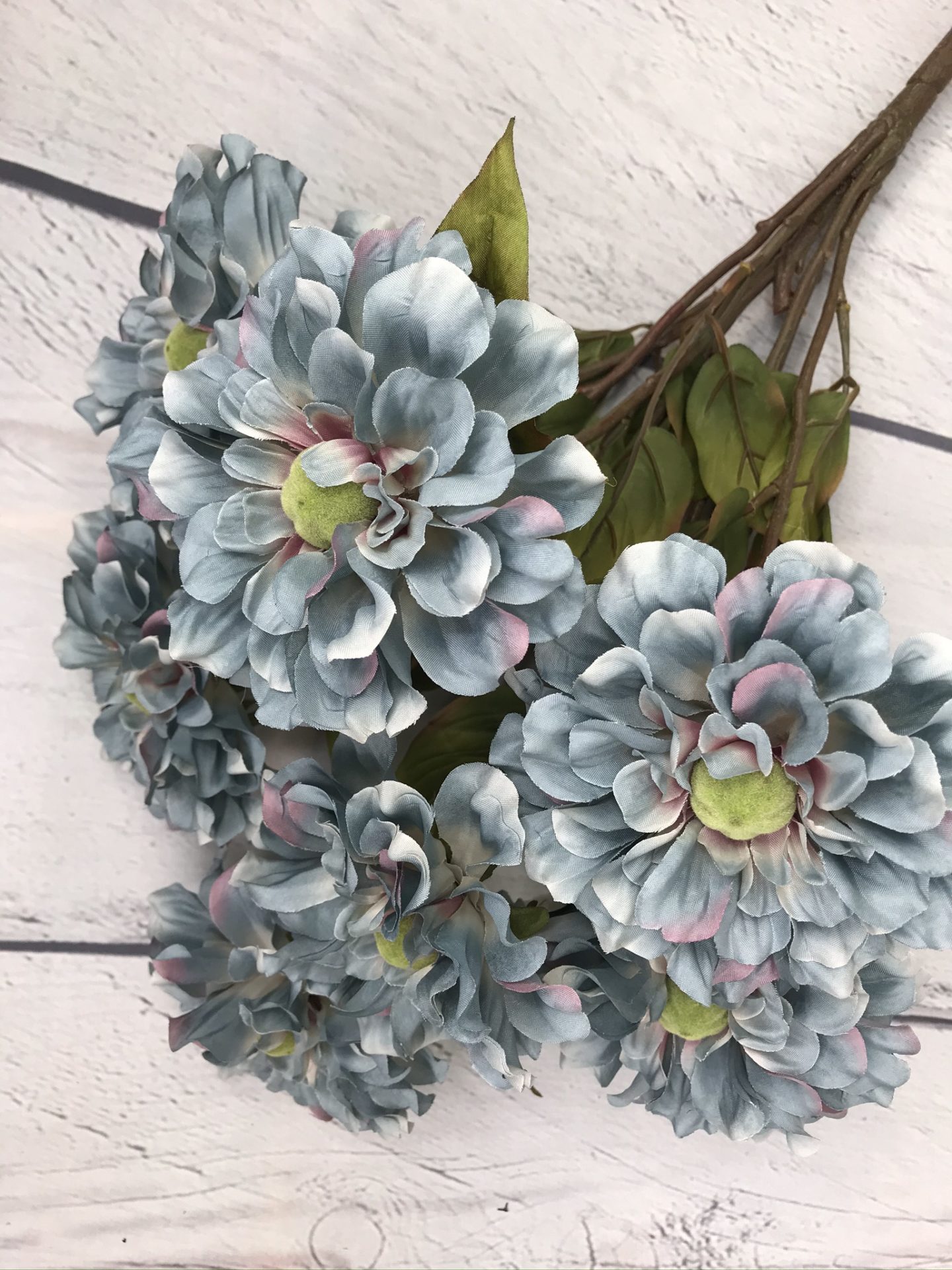 Blue Zinnia Bush - Kelea's Florals