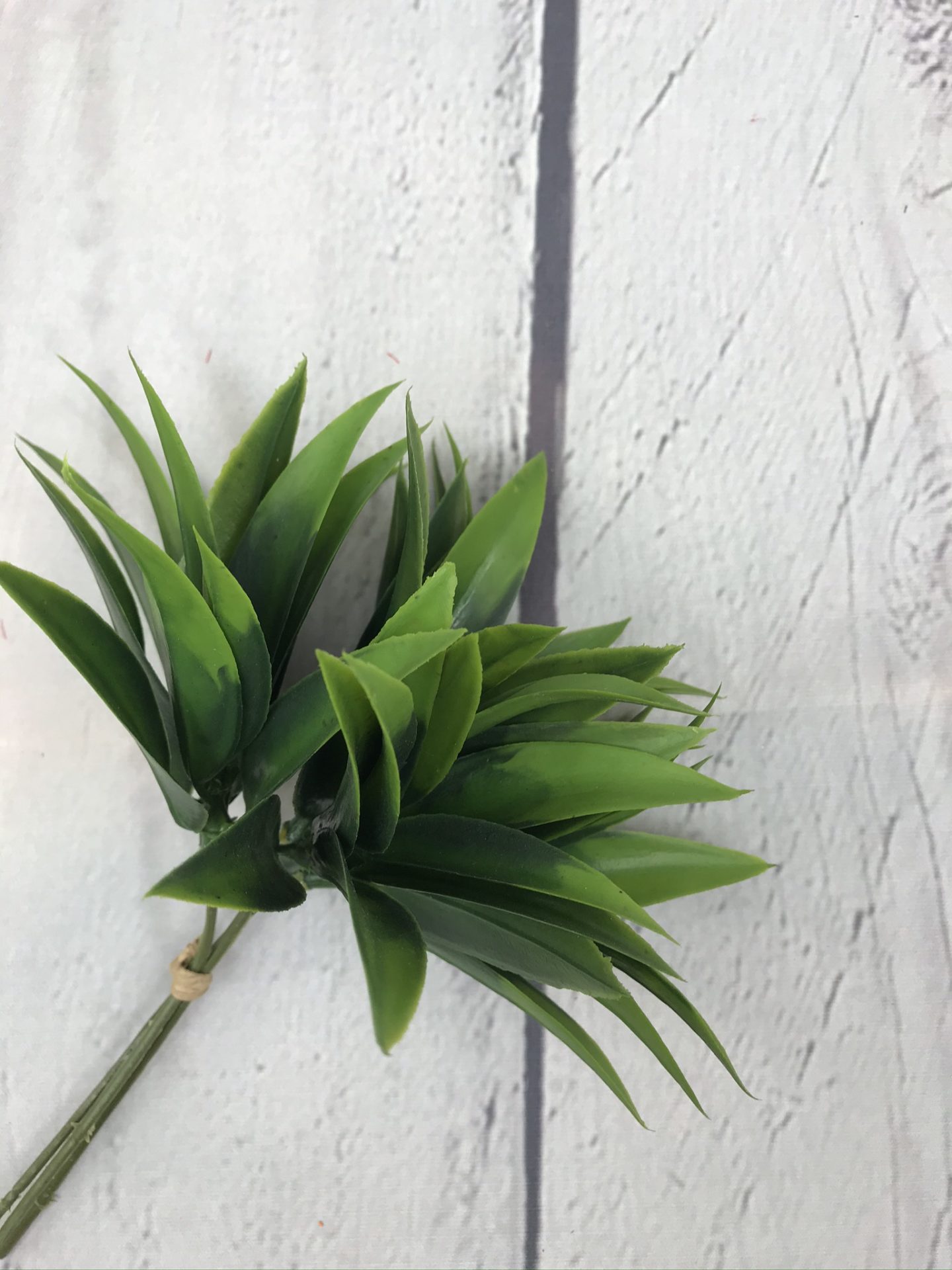 Bag of grass Bundle - Kelea's Florals