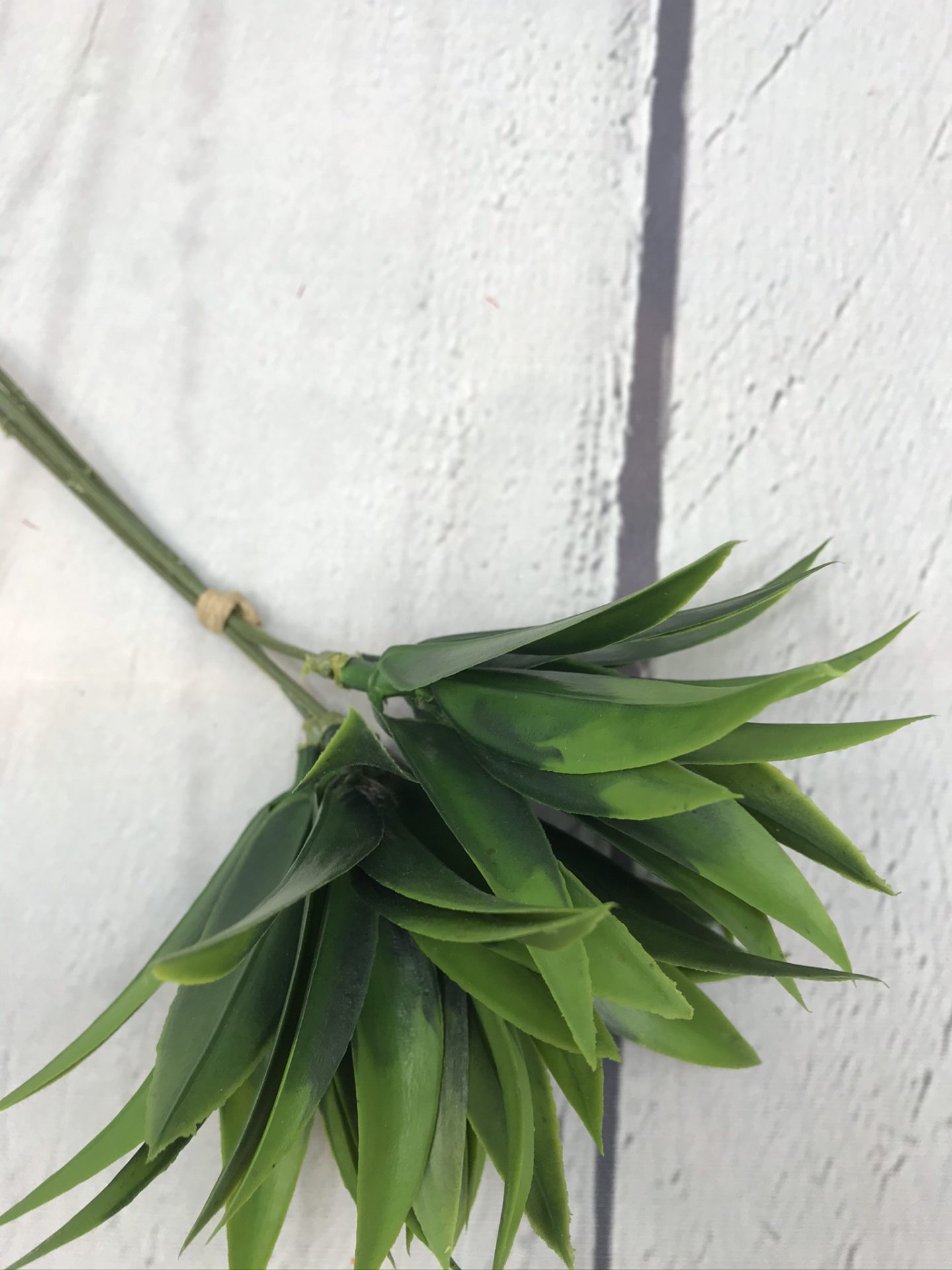 Bag of grass Bundle - Kelea's Florals