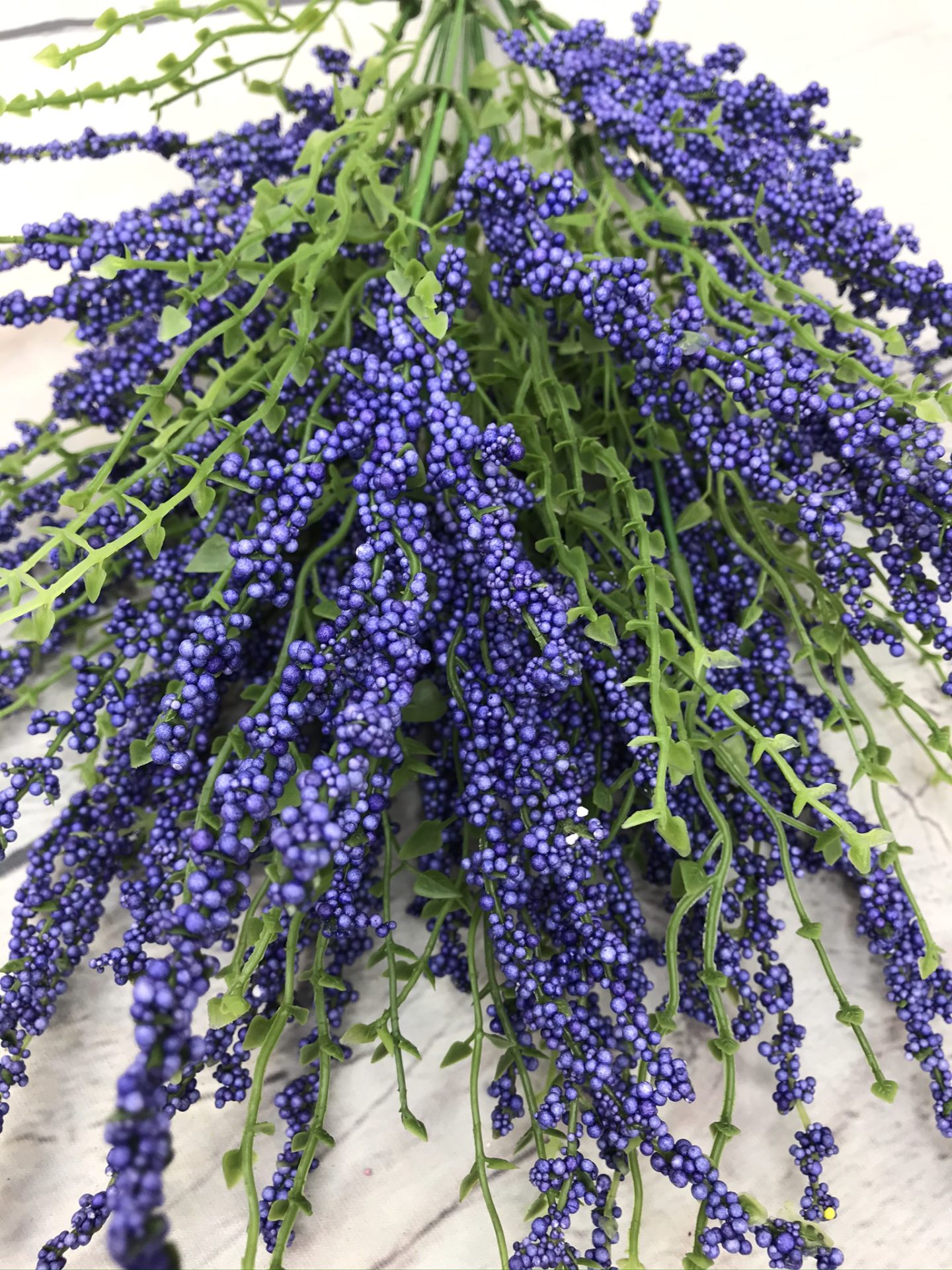 Purple Erica Berry Bush - Kelea's Florals