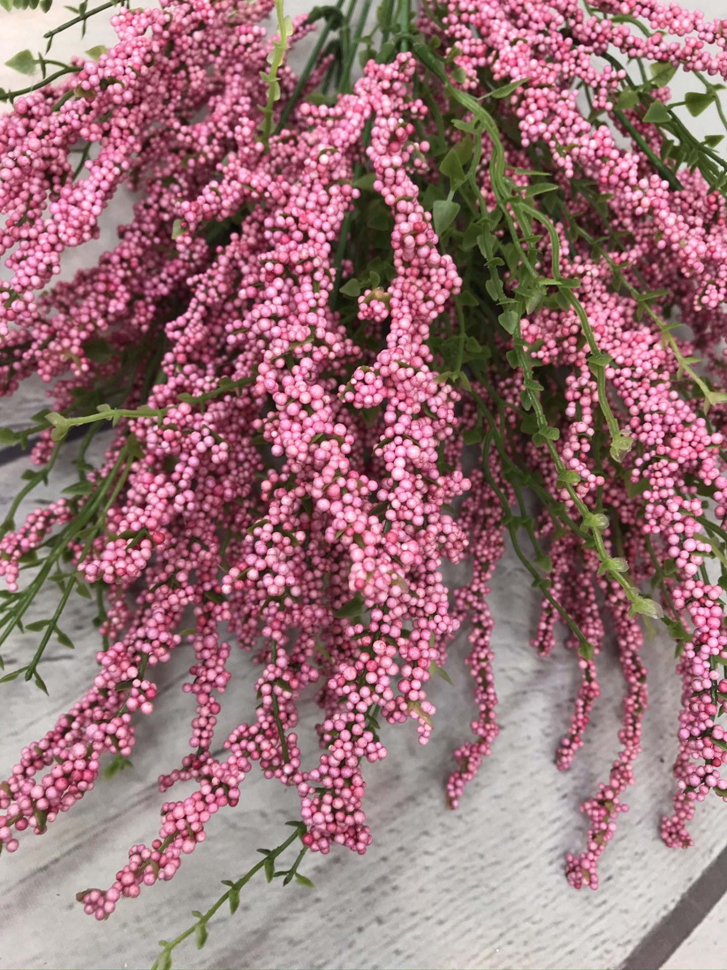 Pink Erica Berry Bush - Kelea's Florals