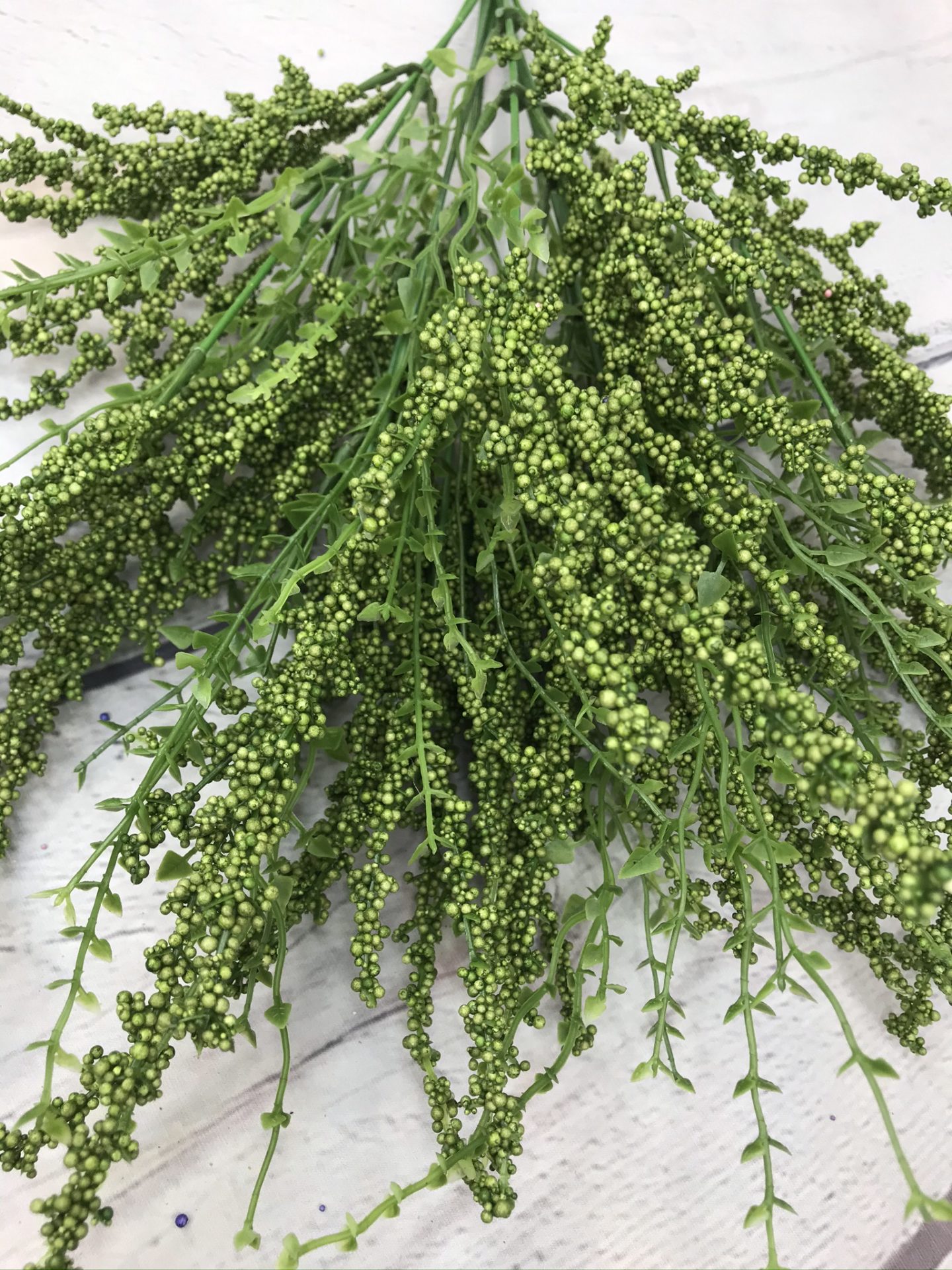 Green Erica Berry Bush - Kelea's Florals