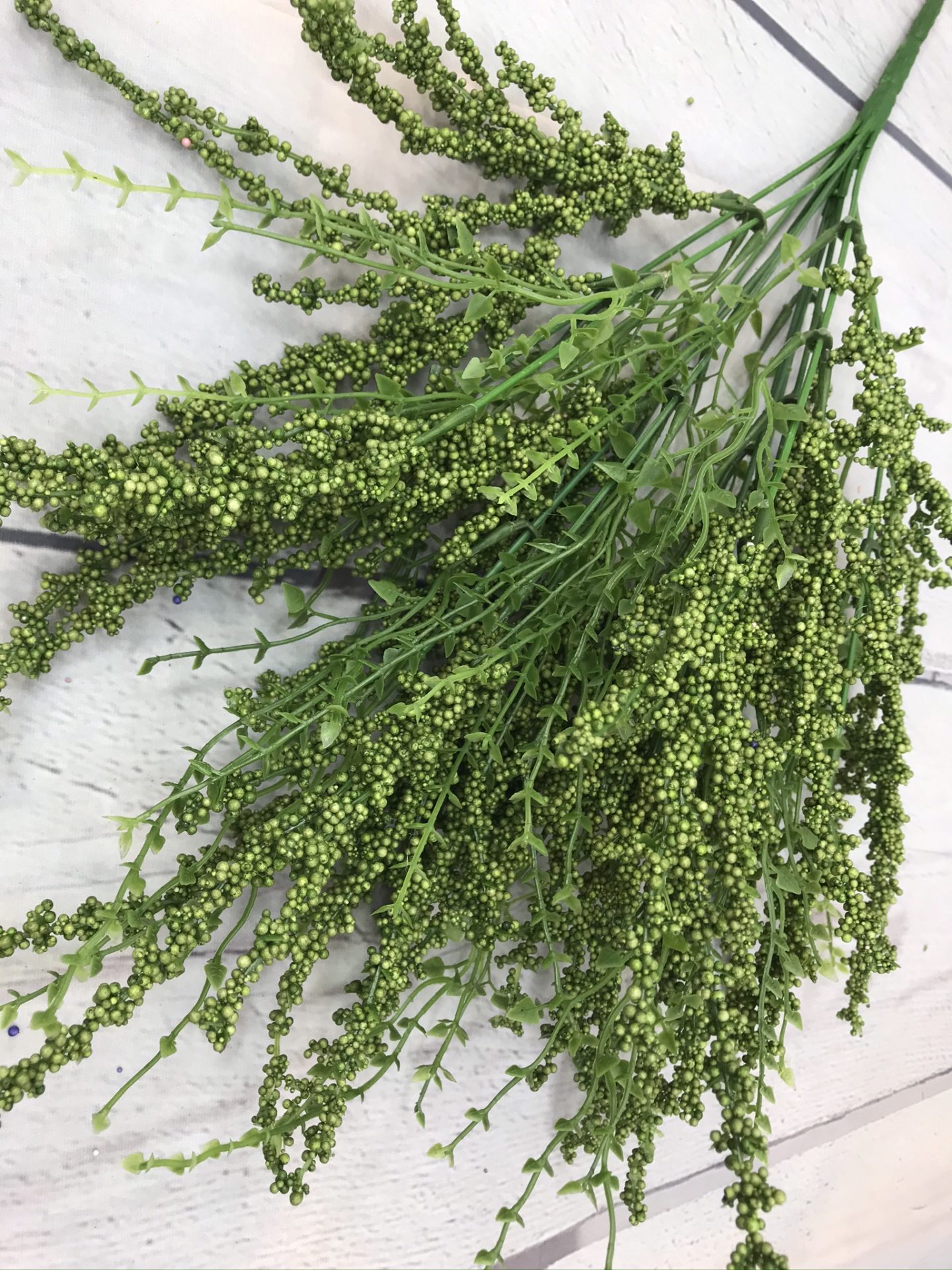 Green Erica Berry Bush - Kelea's Florals