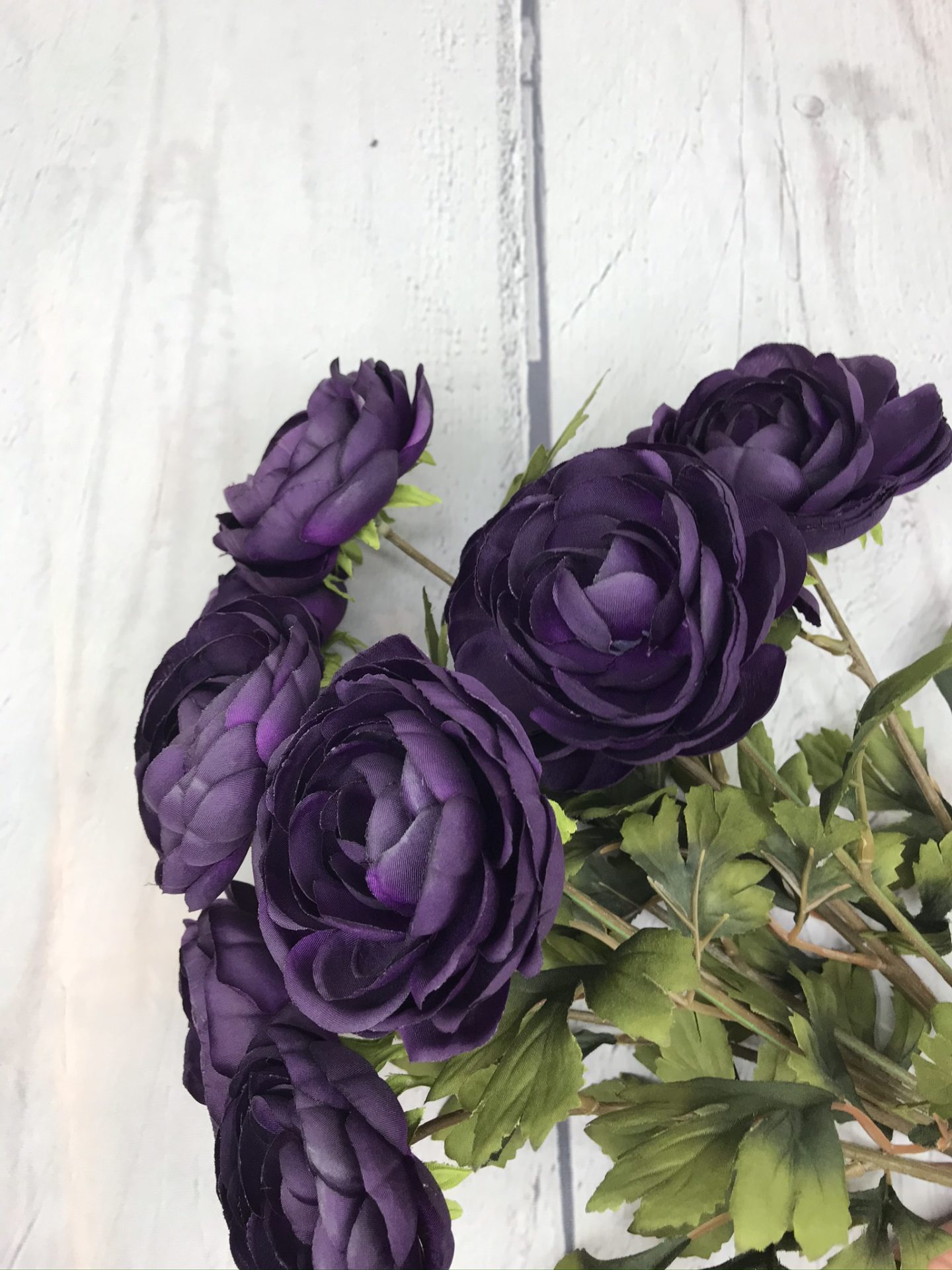 Purple Ranunculus Bush - Kelea's Florals