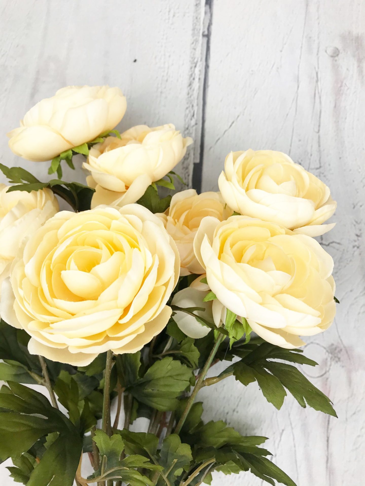 Beige Ranunculus Bush - Kelea's Florals