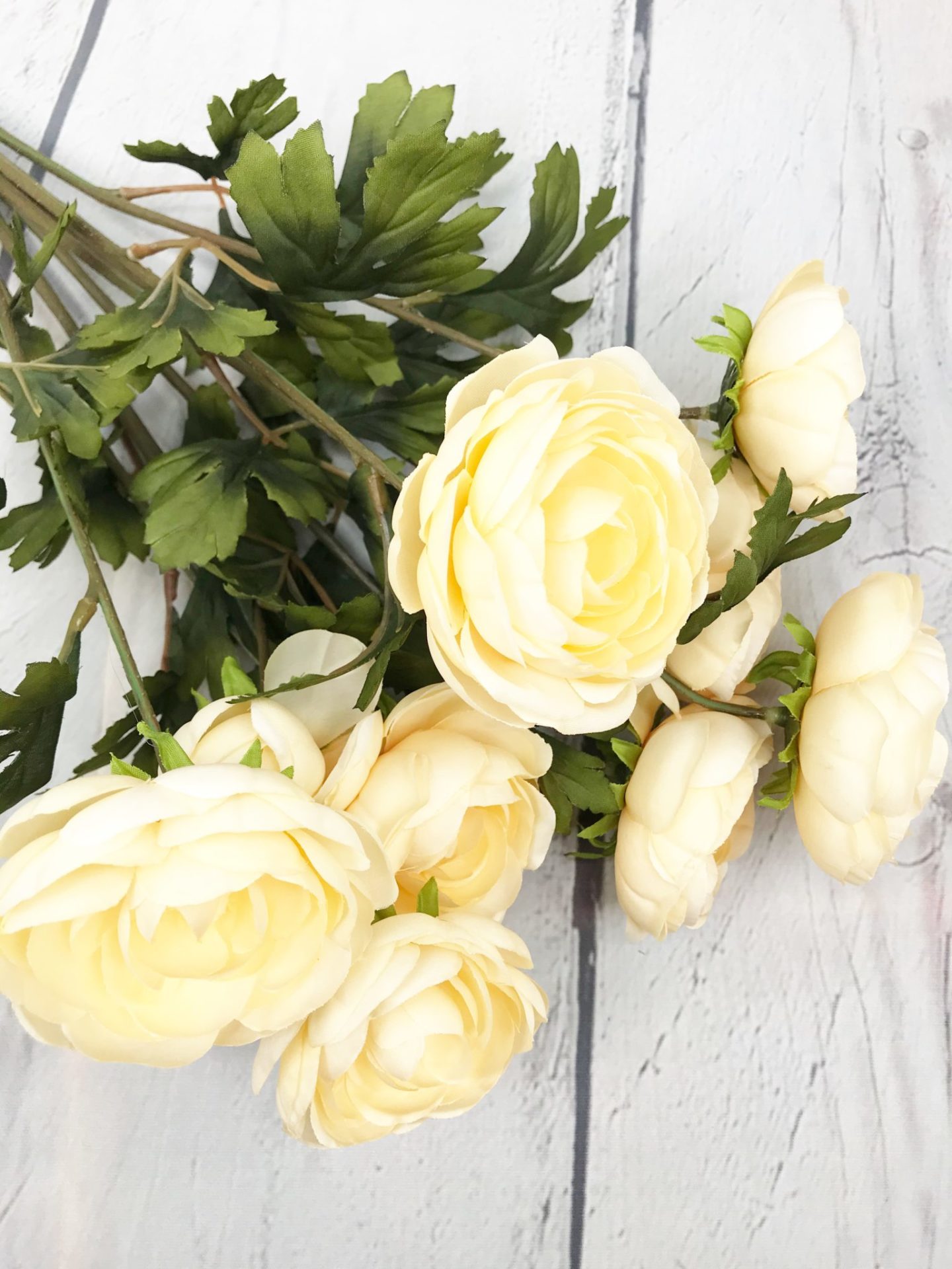 Beige Ranunculus Bush - Kelea's Florals