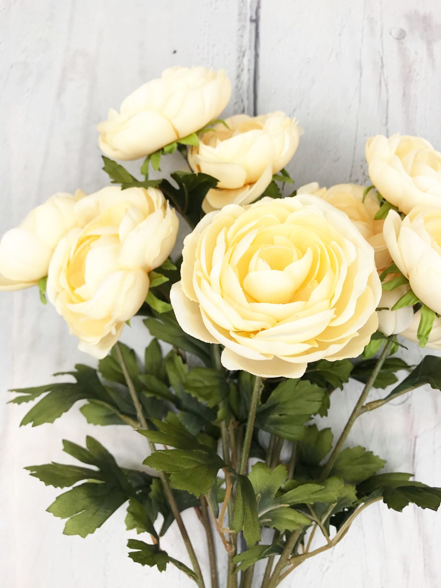 Beige Ranunculus Bush - Kelea's Florals