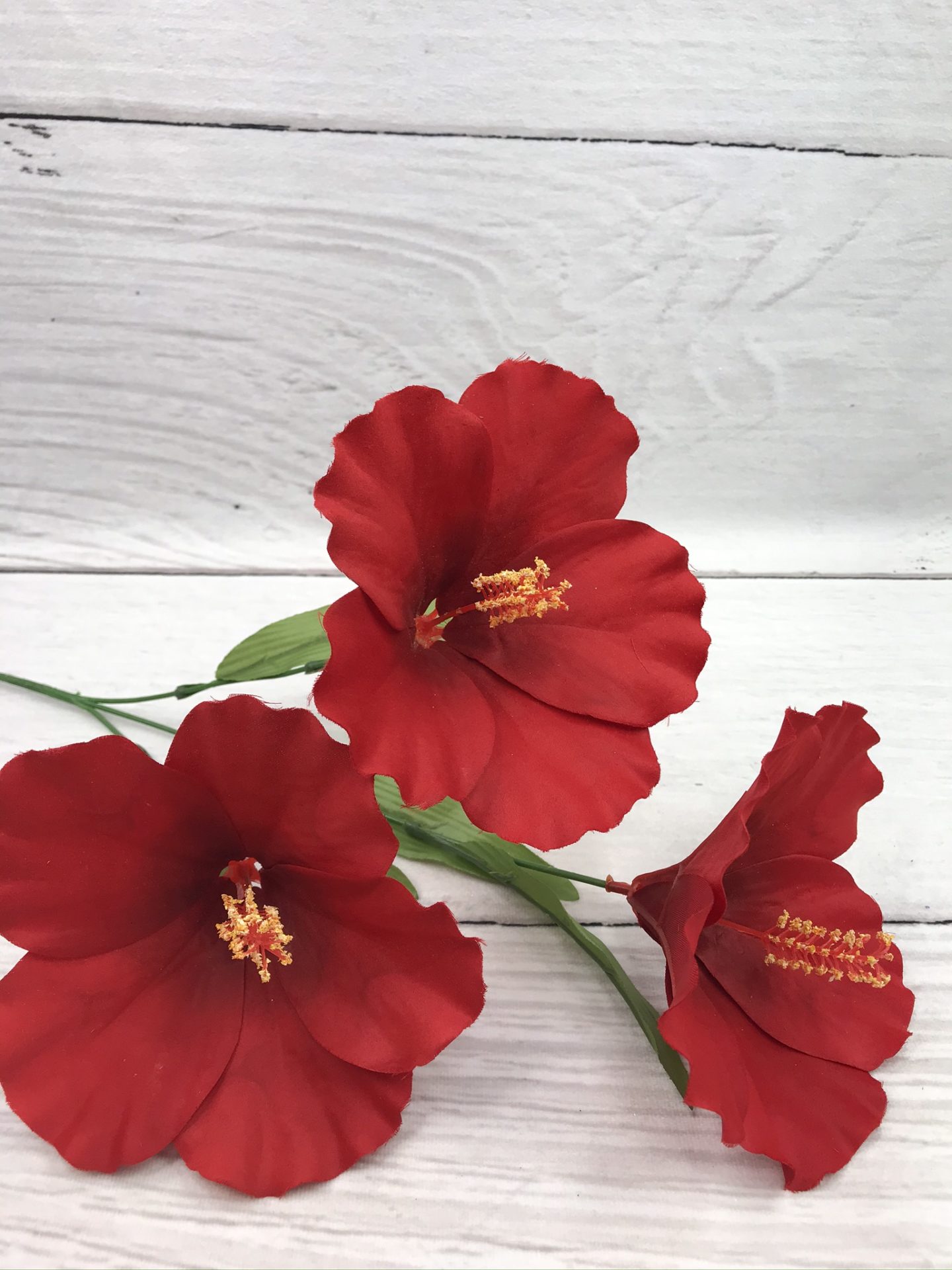 Red Hibiscus Stem - Kelea's Florals