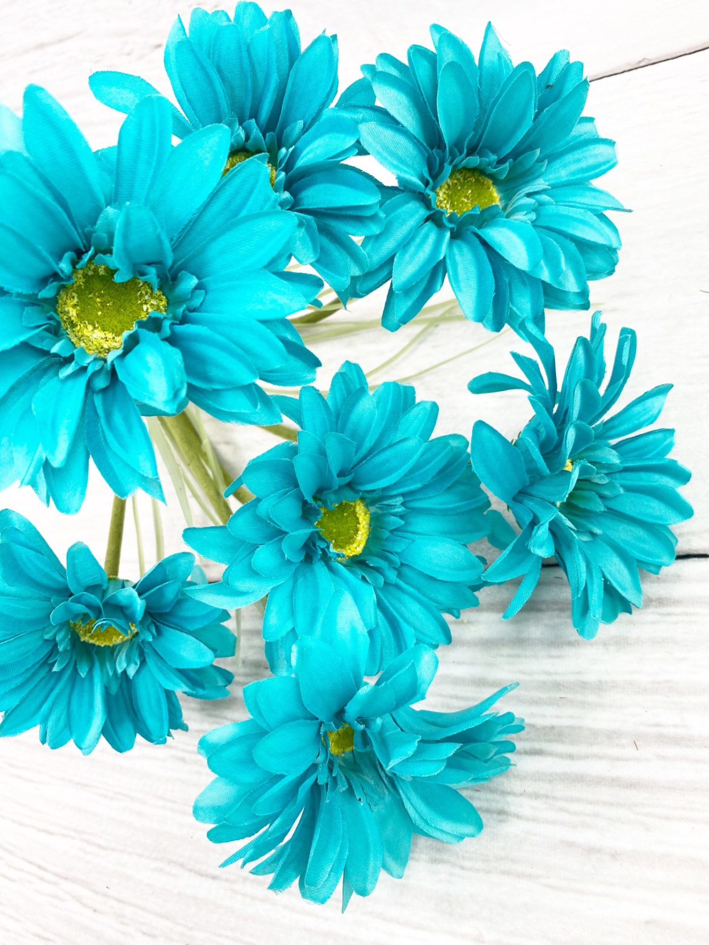 Aqua Paris Daisy Bush - Kelea's Florals