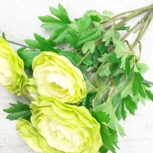 Large Green Ranunculus Bush - Kelea's Florals