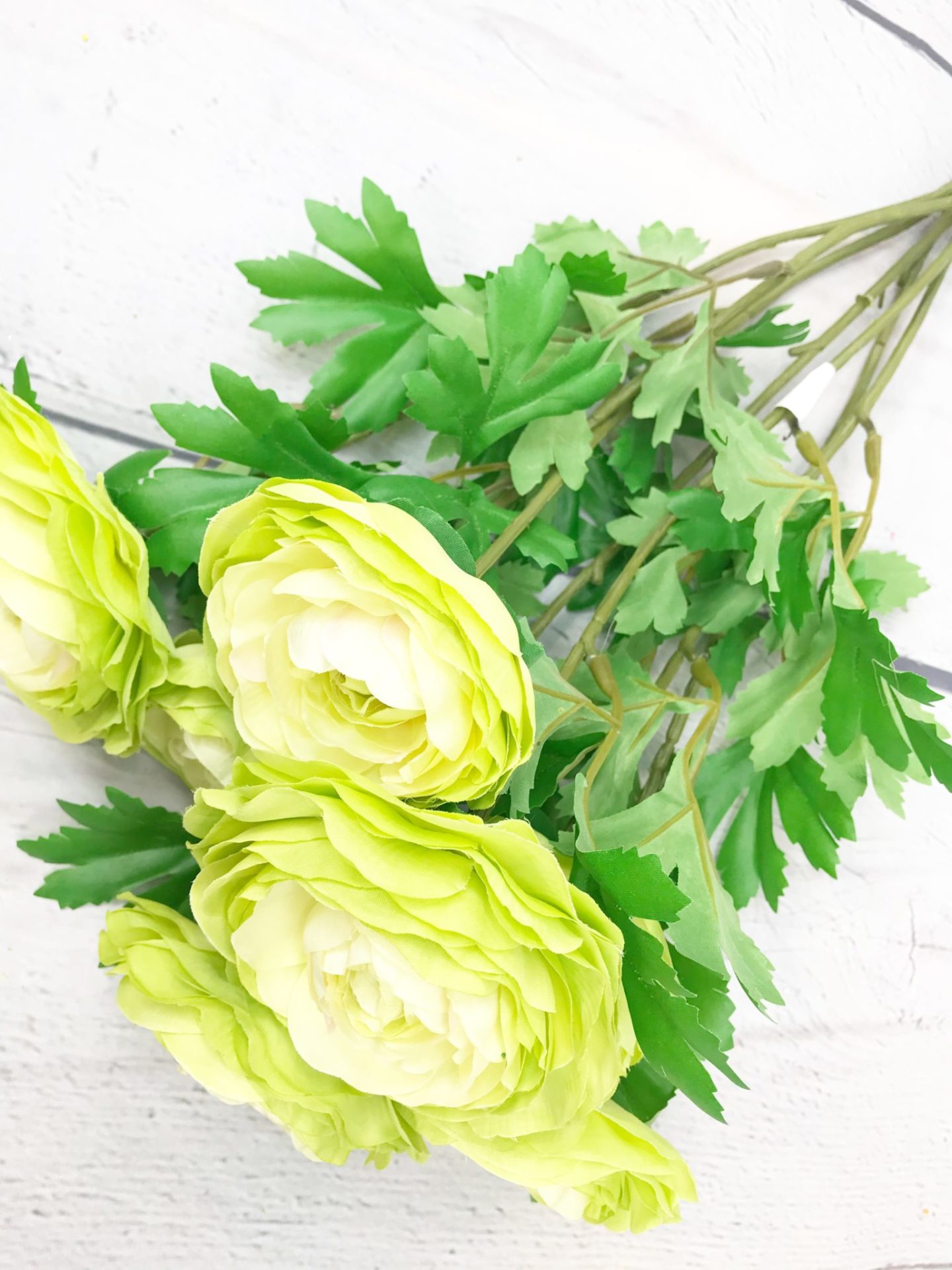Large Green Ranunculus Bush - Kelea's Florals