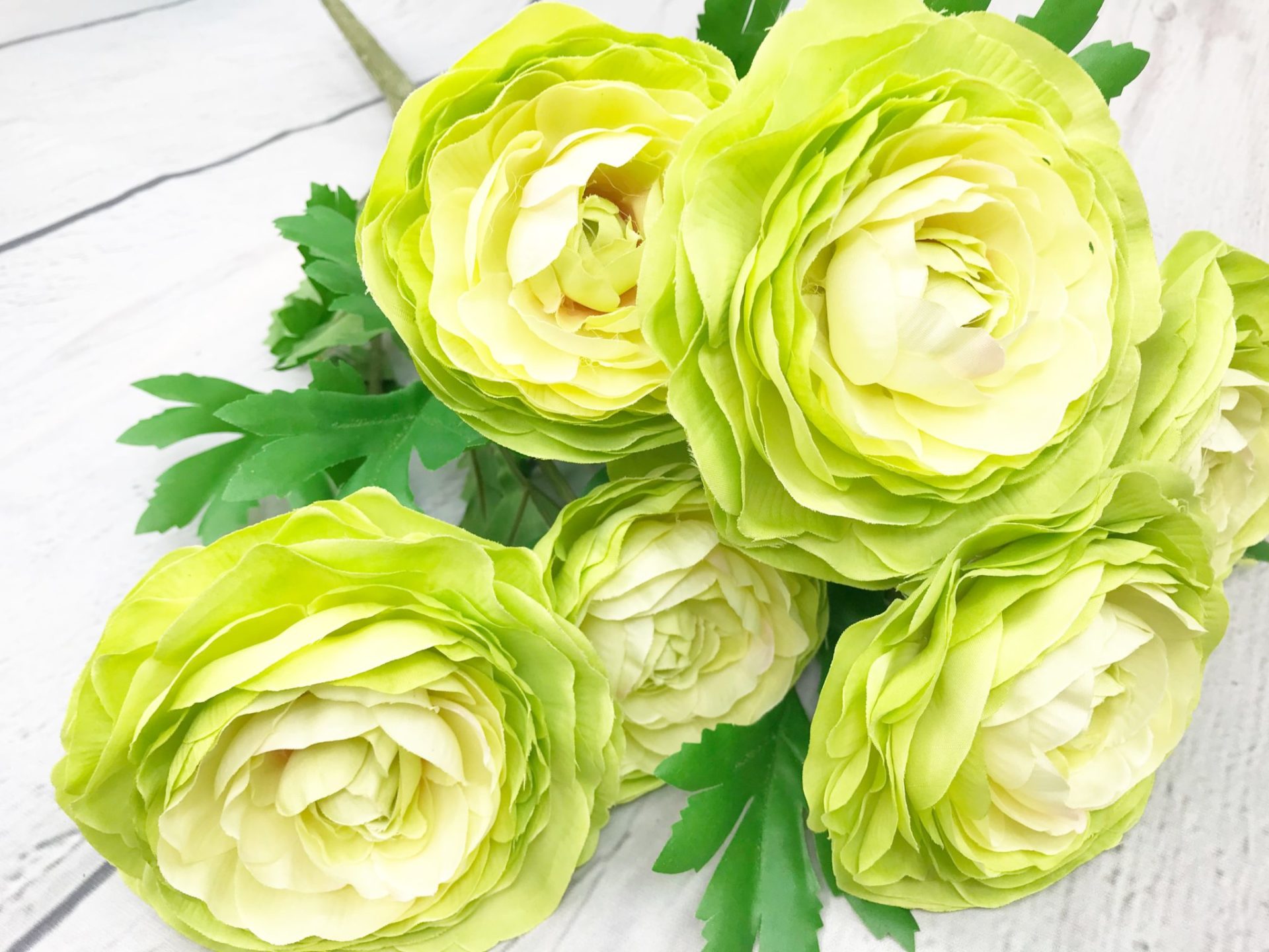 Large Green Ranunculus Bush - Kelea's Florals
