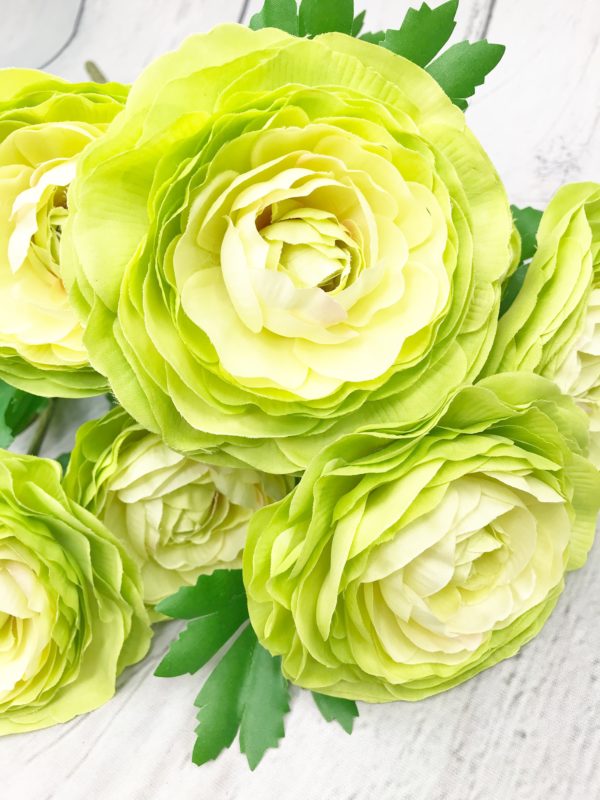 Large Green Ranunculus Bush - Kelea's Florals
