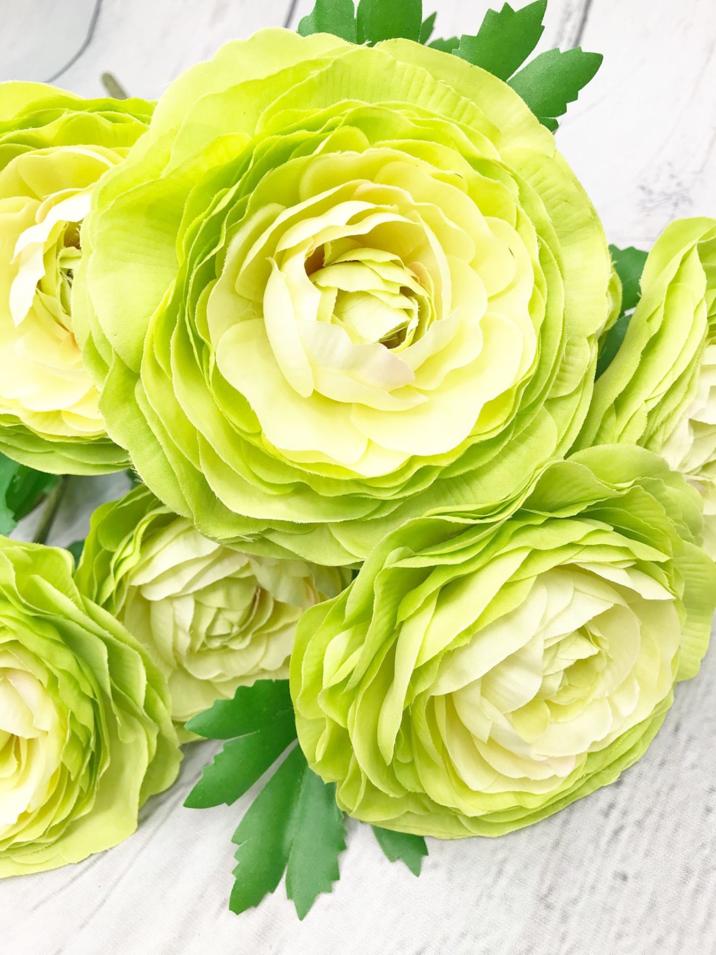 Large Green Ranunculus Bush - Kelea's Florals