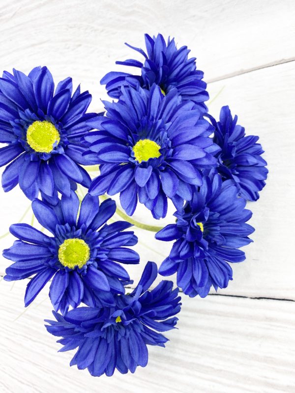 Dark Blue Paris Daisy Bush - Kelea's Florals