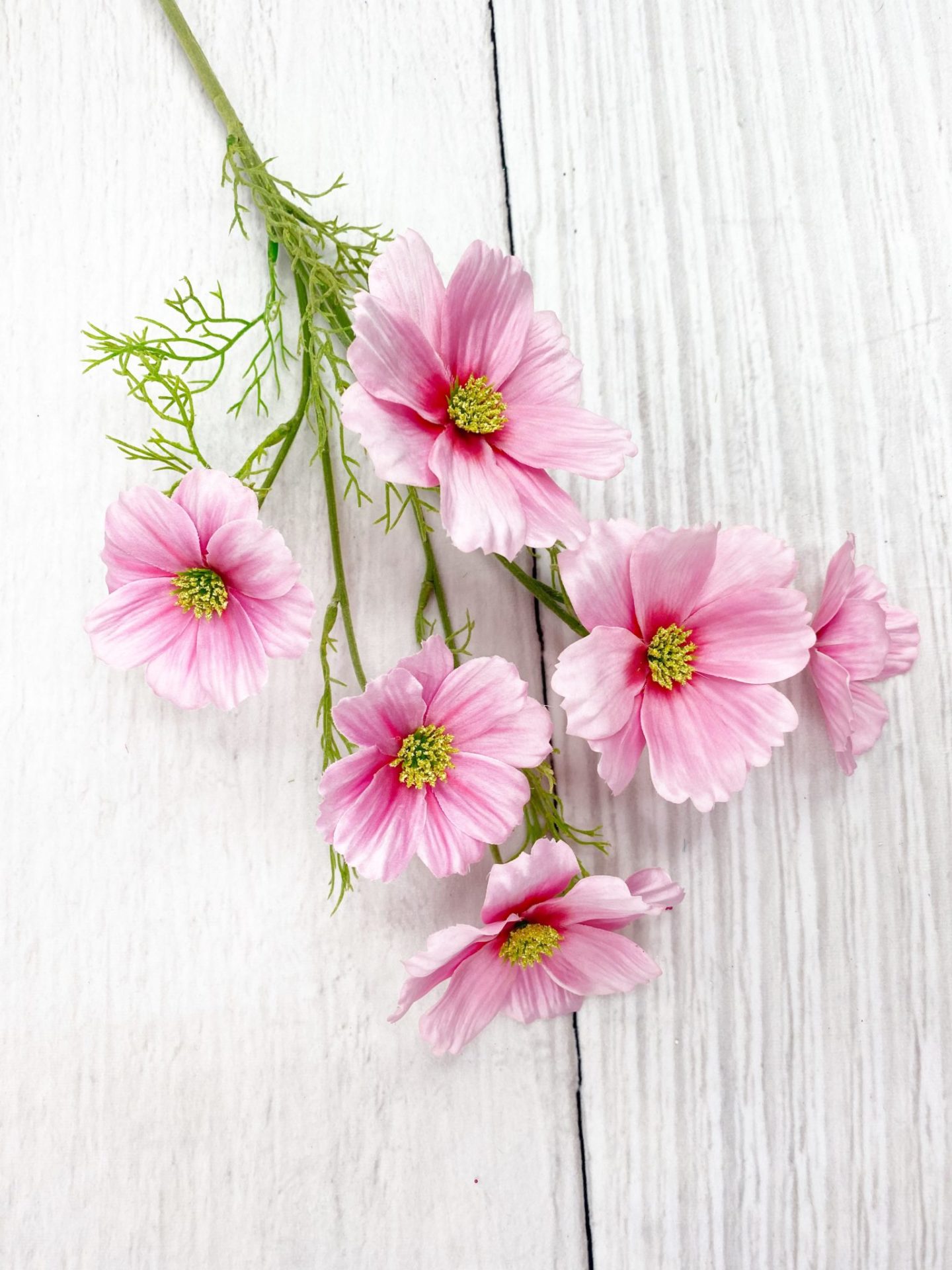 Pink Cosmo Stem - Kelea's Florals