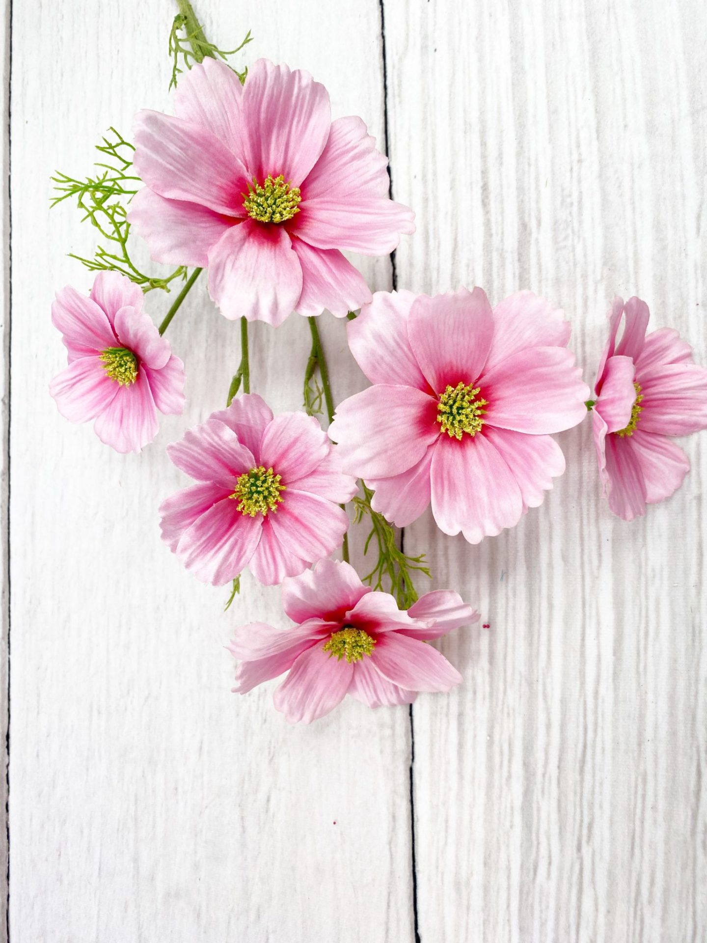 Pink Cosmo Stem - Kelea's Florals