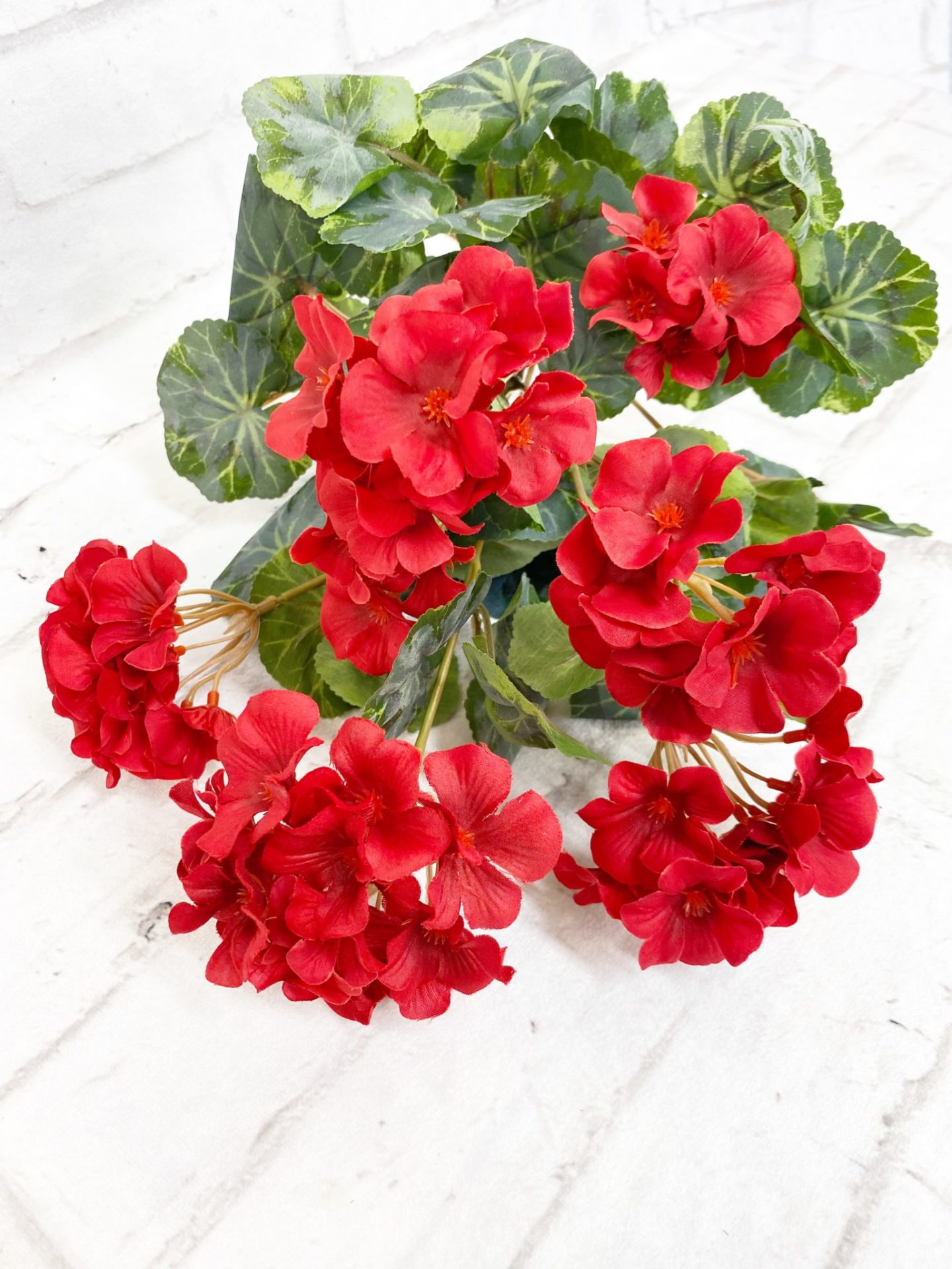 Red Geranium Bush - Kelea's Florals