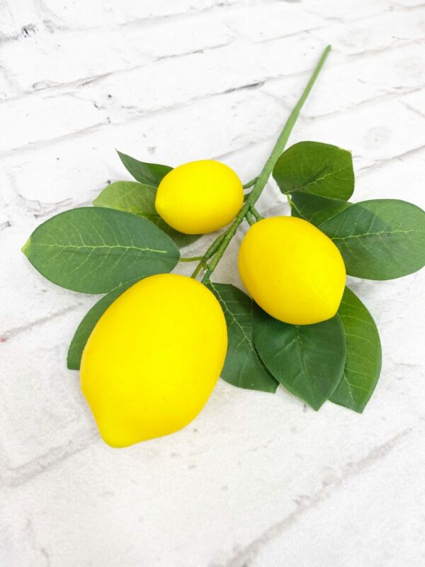 Small Lemon Stem - Kelea's Florals