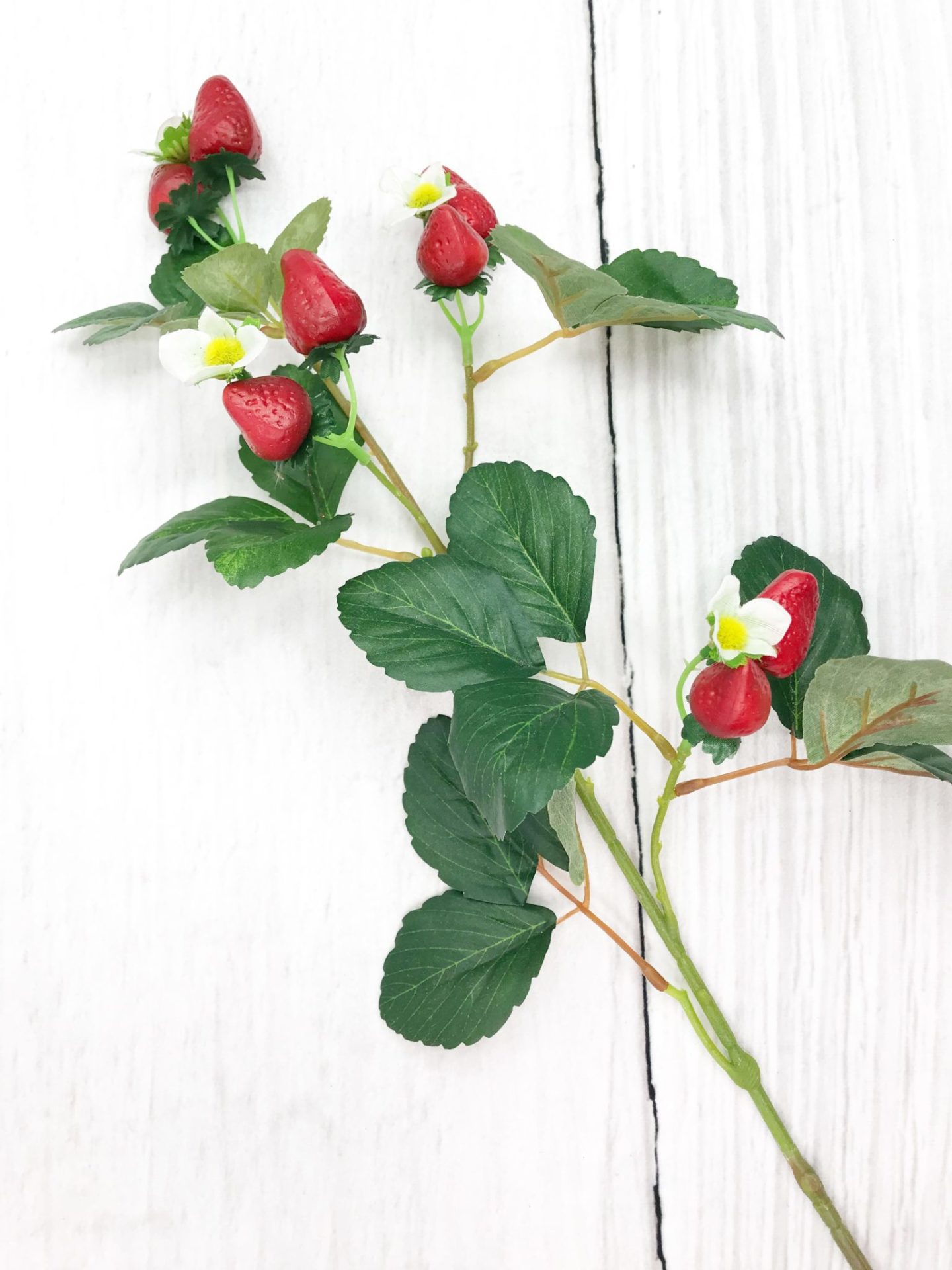 Strawberry Stem - Kelea's Florals