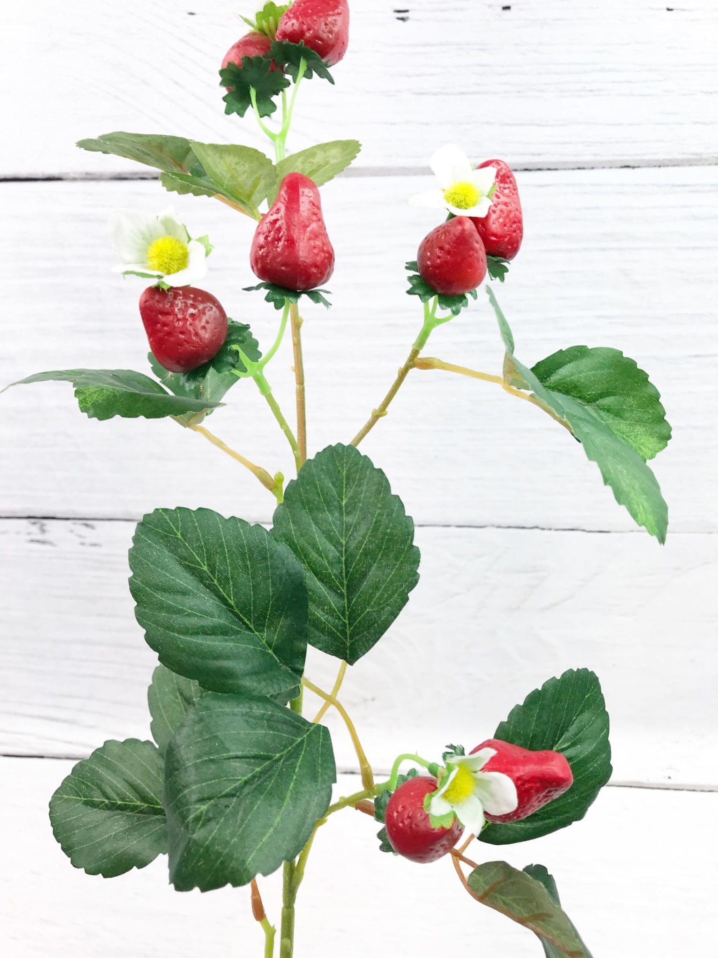 Strawberry Stem - Kelea's Florals