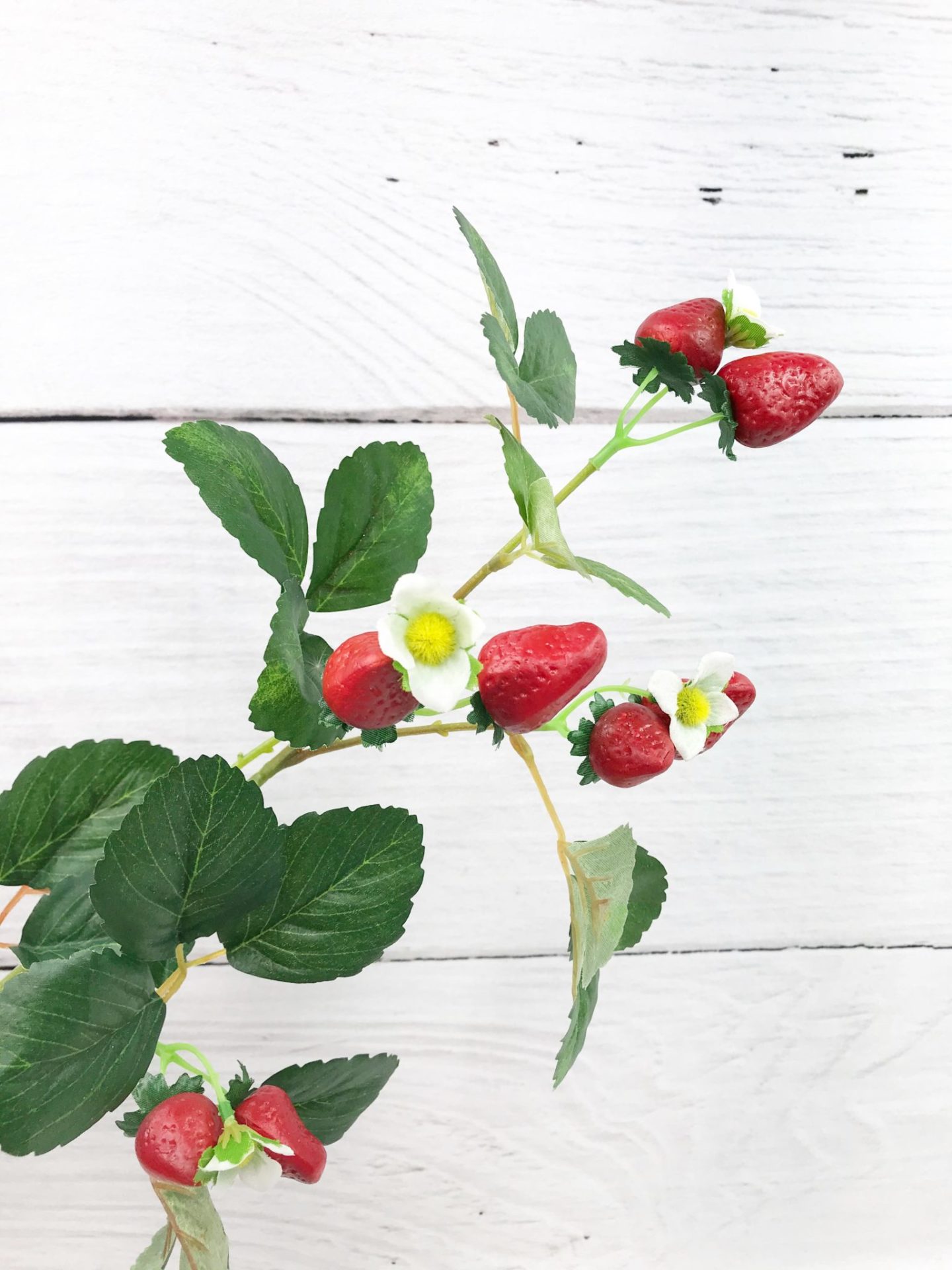 Strawberry Stem - Kelea's Florals