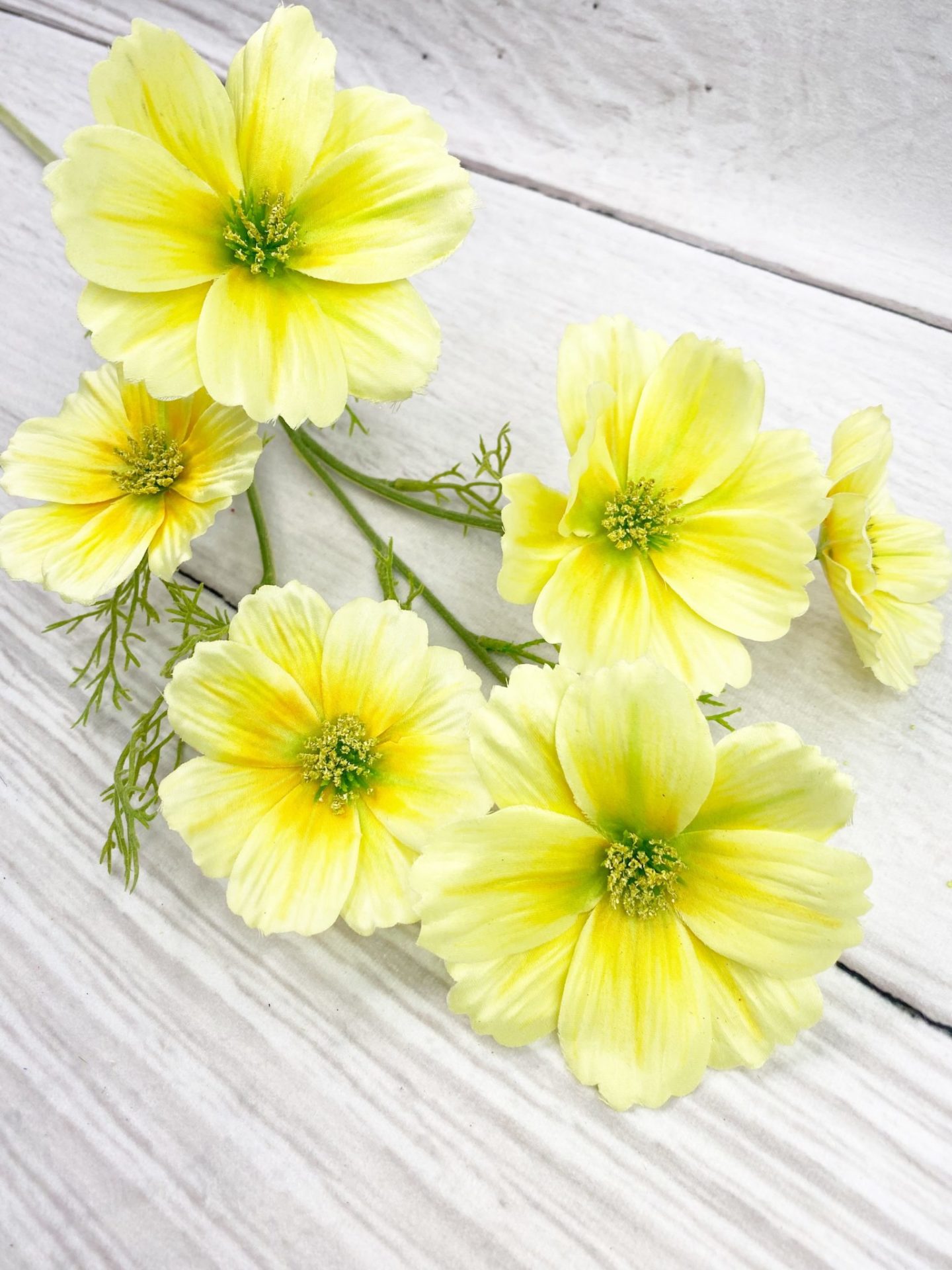 Yellow Cosmo Stem - Kelea's Florals
