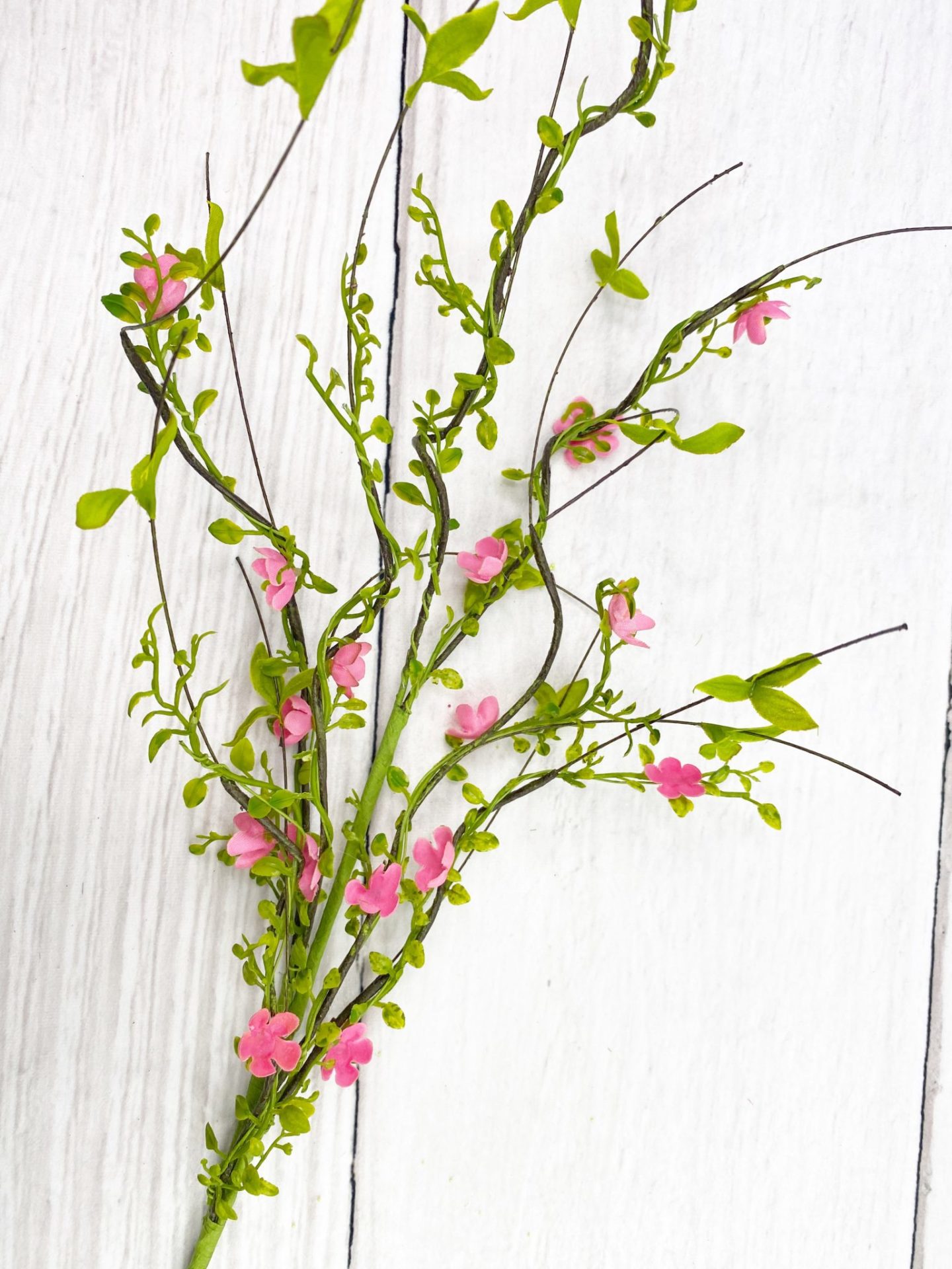 Peach Blossom Stem - Kelea's Florals