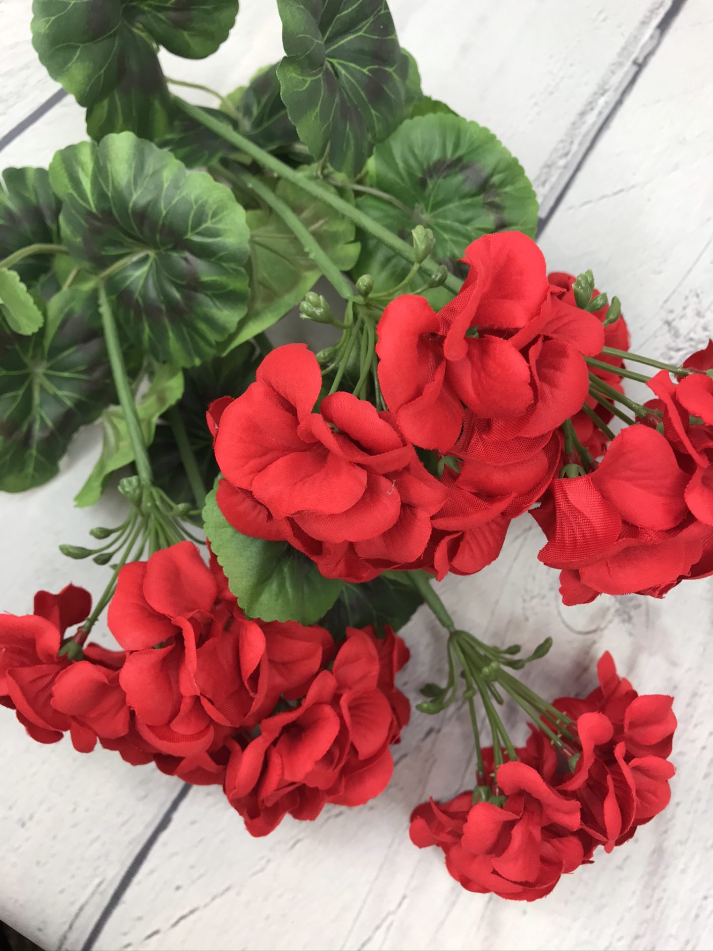 Red Geranium Bush - Kelea's Florals