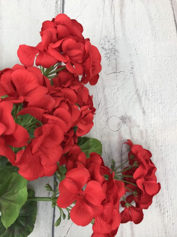 Red Geranium Bush - Kelea's Florals