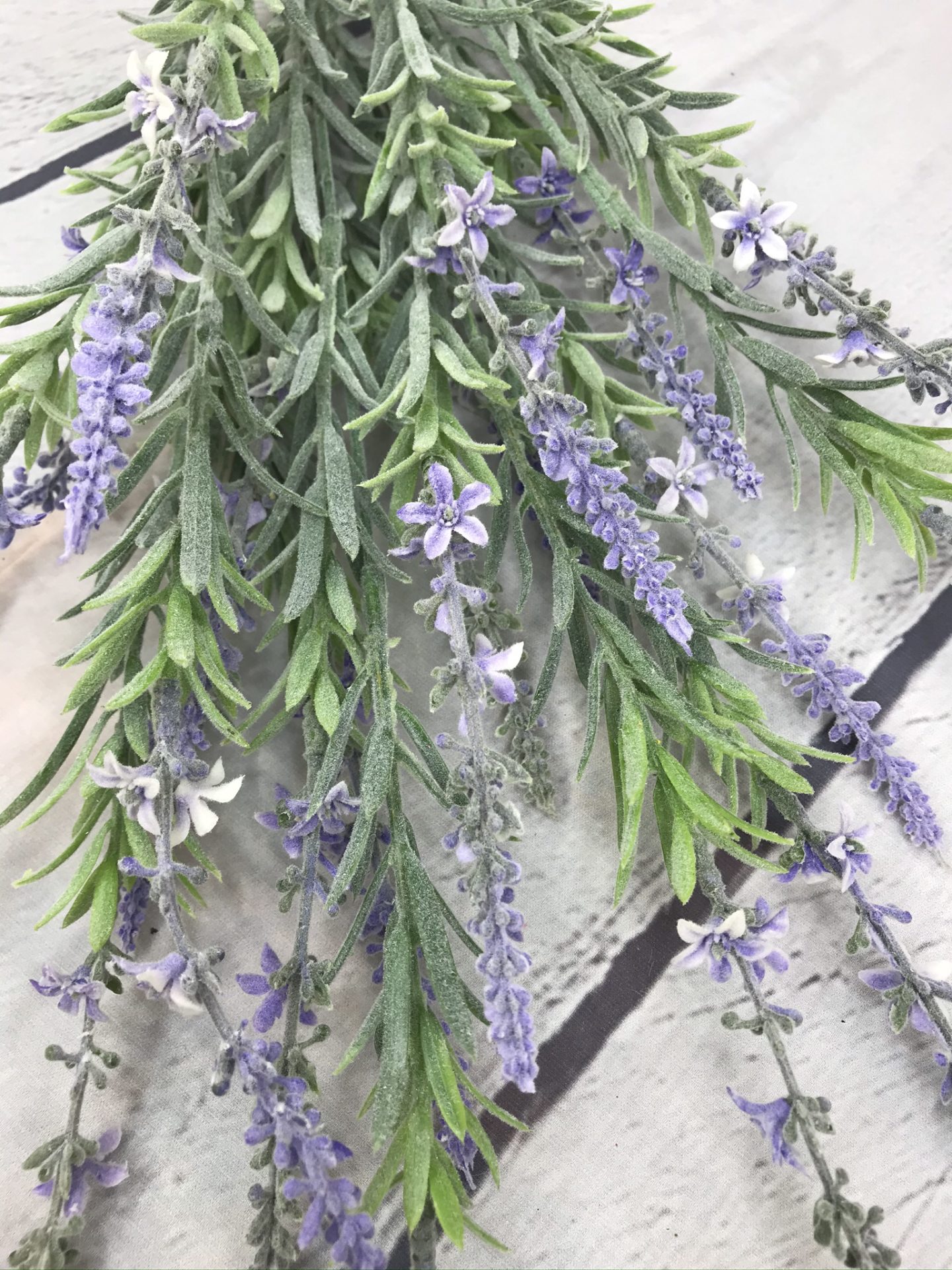 Lavender Bush - Kelea's Florals