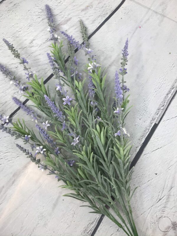 Lavender Bush - Kelea's Florals